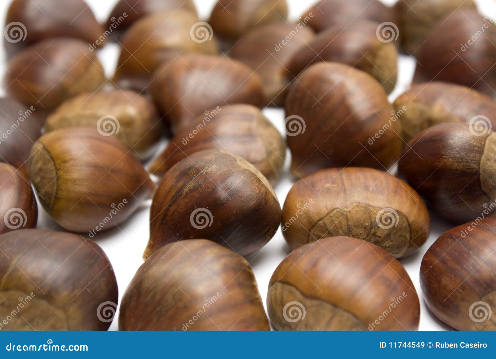 Kastanje stock afbeelding. Image of kastanjes, macro - 11744549