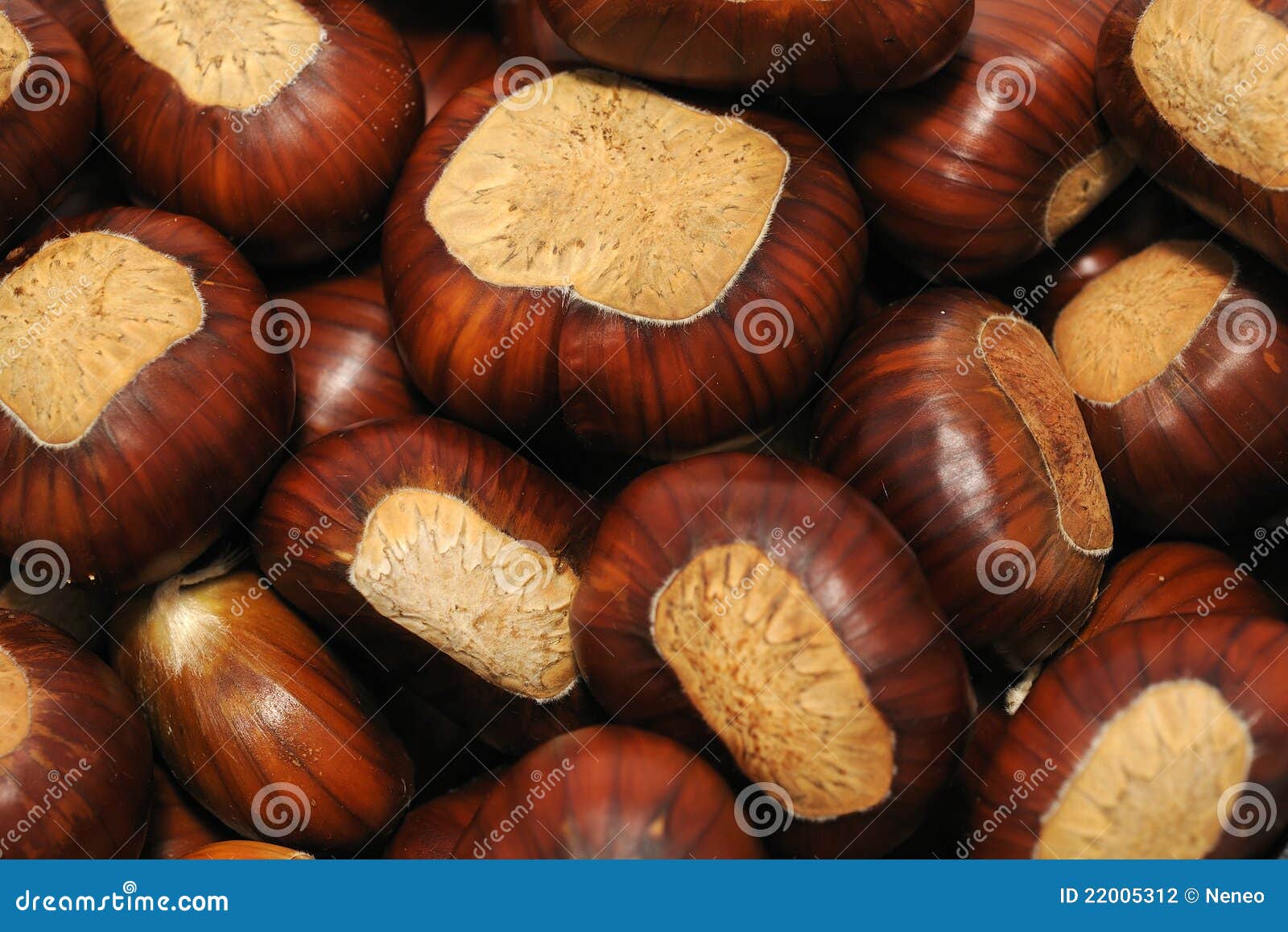 Kastanjer arkivfoto. Bild av bakgrunder, framdel, frukter - 22005312
