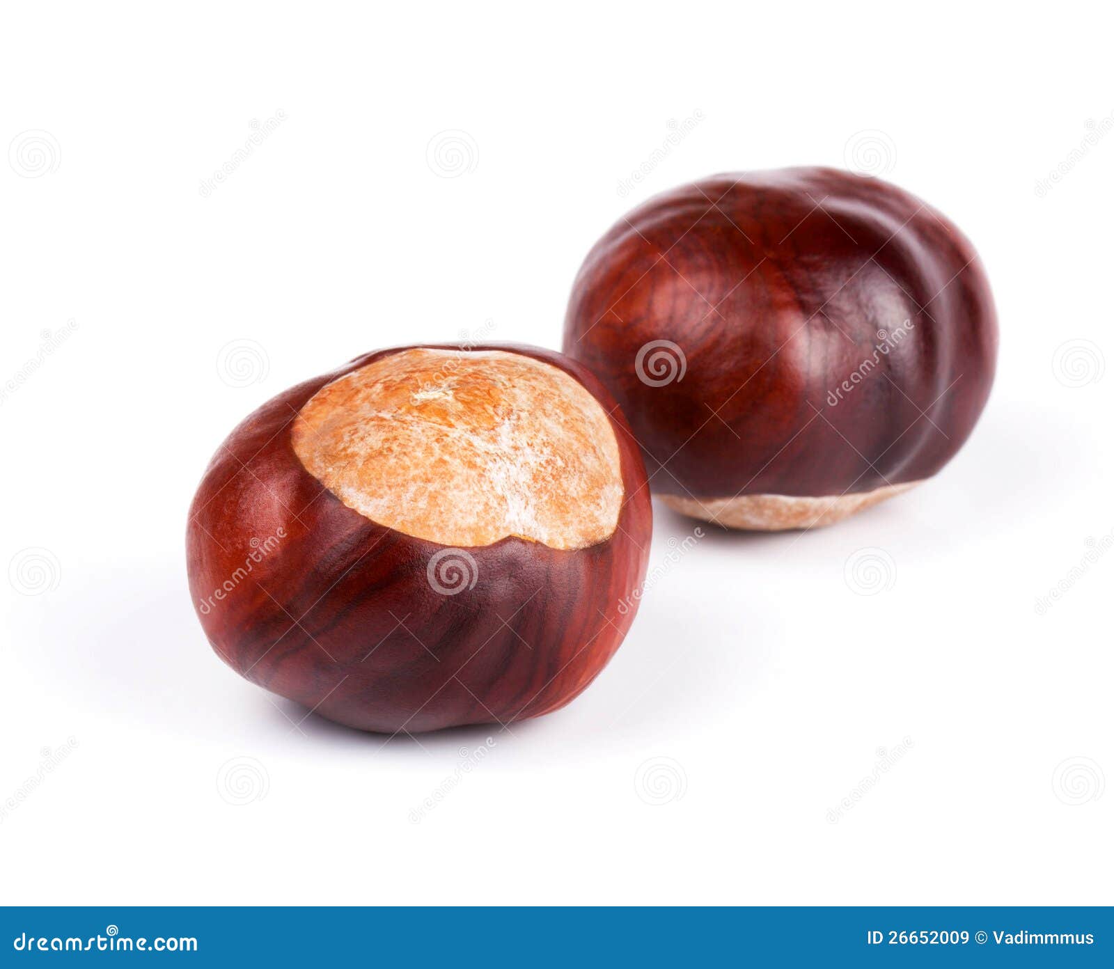 Kastanjes stock afbeelding. Image of vers, kleur, botanisch - 26652009