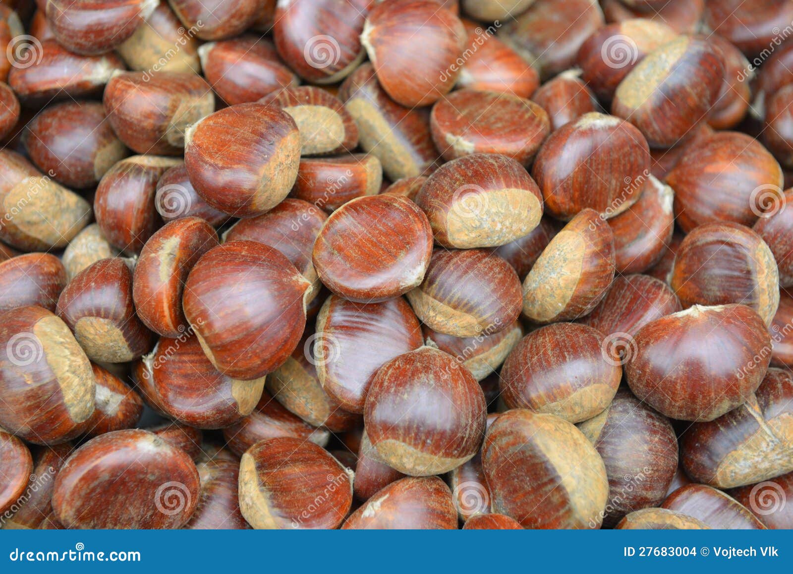 Kastanjes stock foto. Image of herfst, nave, naughty - 27683004