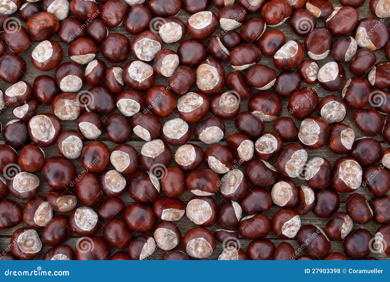 Kastanjes stock foto. Image of achtergrond, houten, hout - 27903398