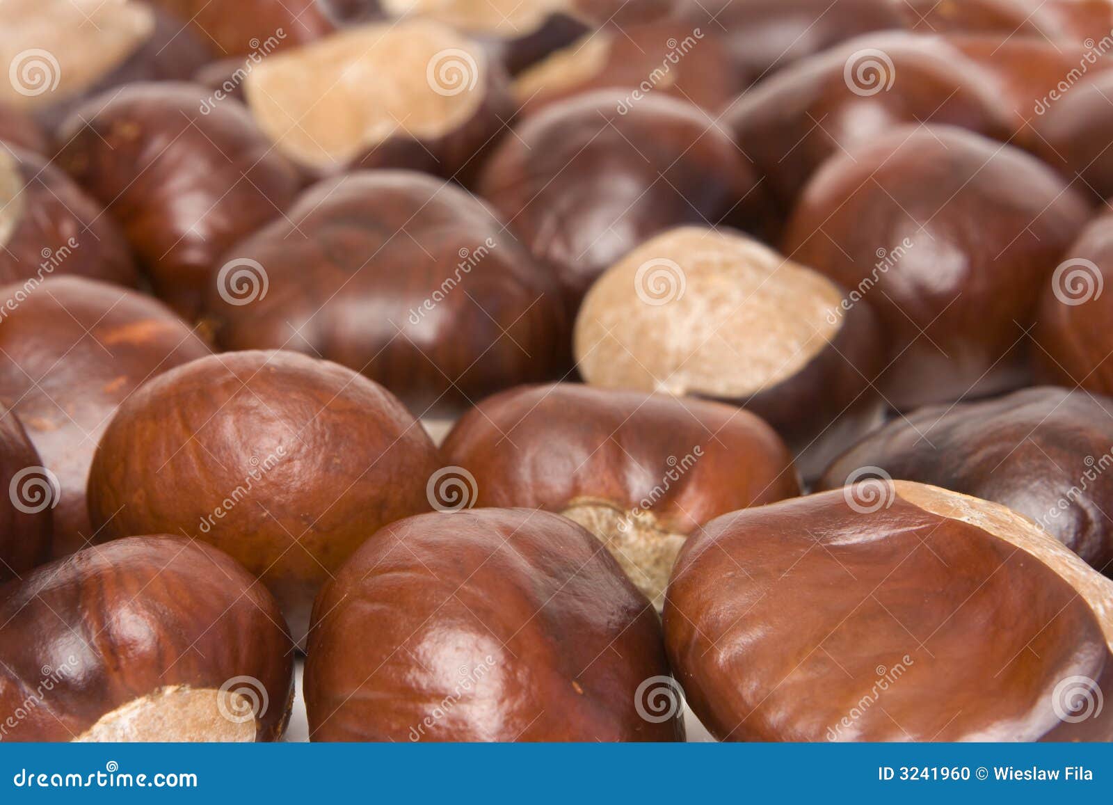 Kastanjes stock foto. Image of voorwerp, naughty, voedsel - 3241960