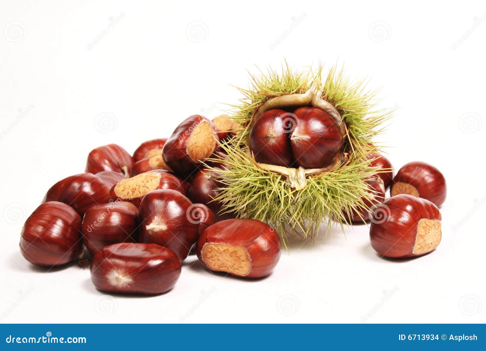 Kastanjes stock foto. Image of verzamelen, oogst, noot - 6713934