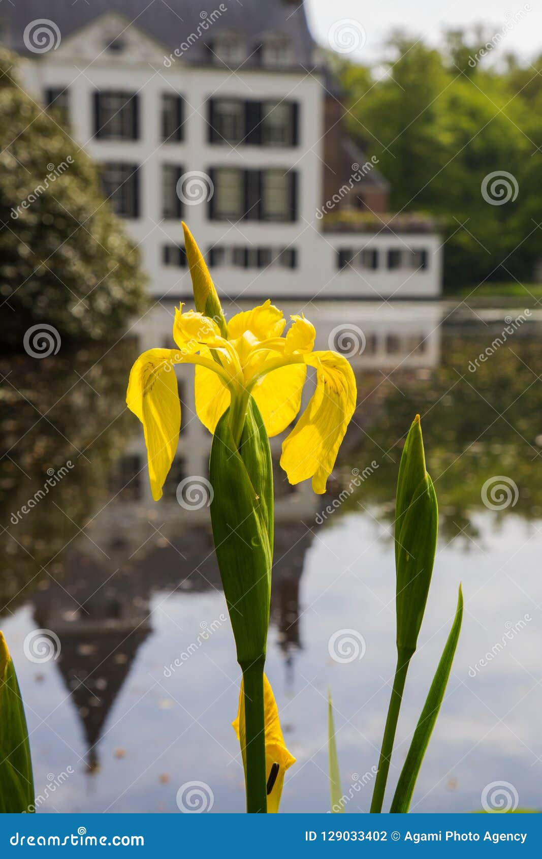 Kasteel Renswoude, Castle Renswoude Stock Photo - Image of nederland ...