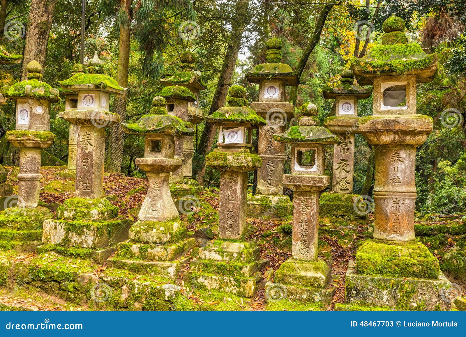 Kasuga Taisha in Nara, Japan Stock Image - Image of kasuga, kyoto: 48467703