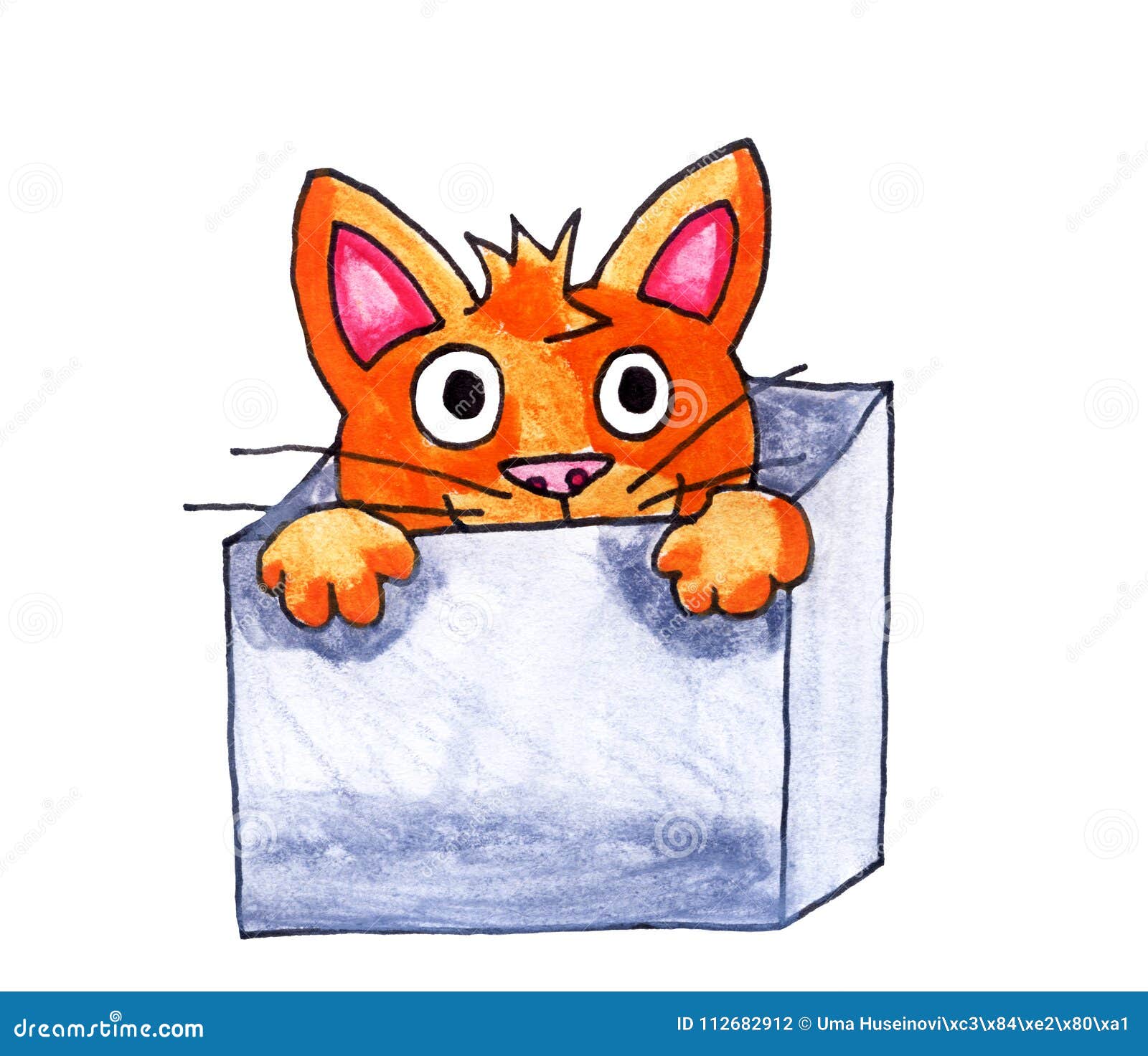 Kat in een doos stock foto. Image of kleurrijk, goedkeuring - 112682912