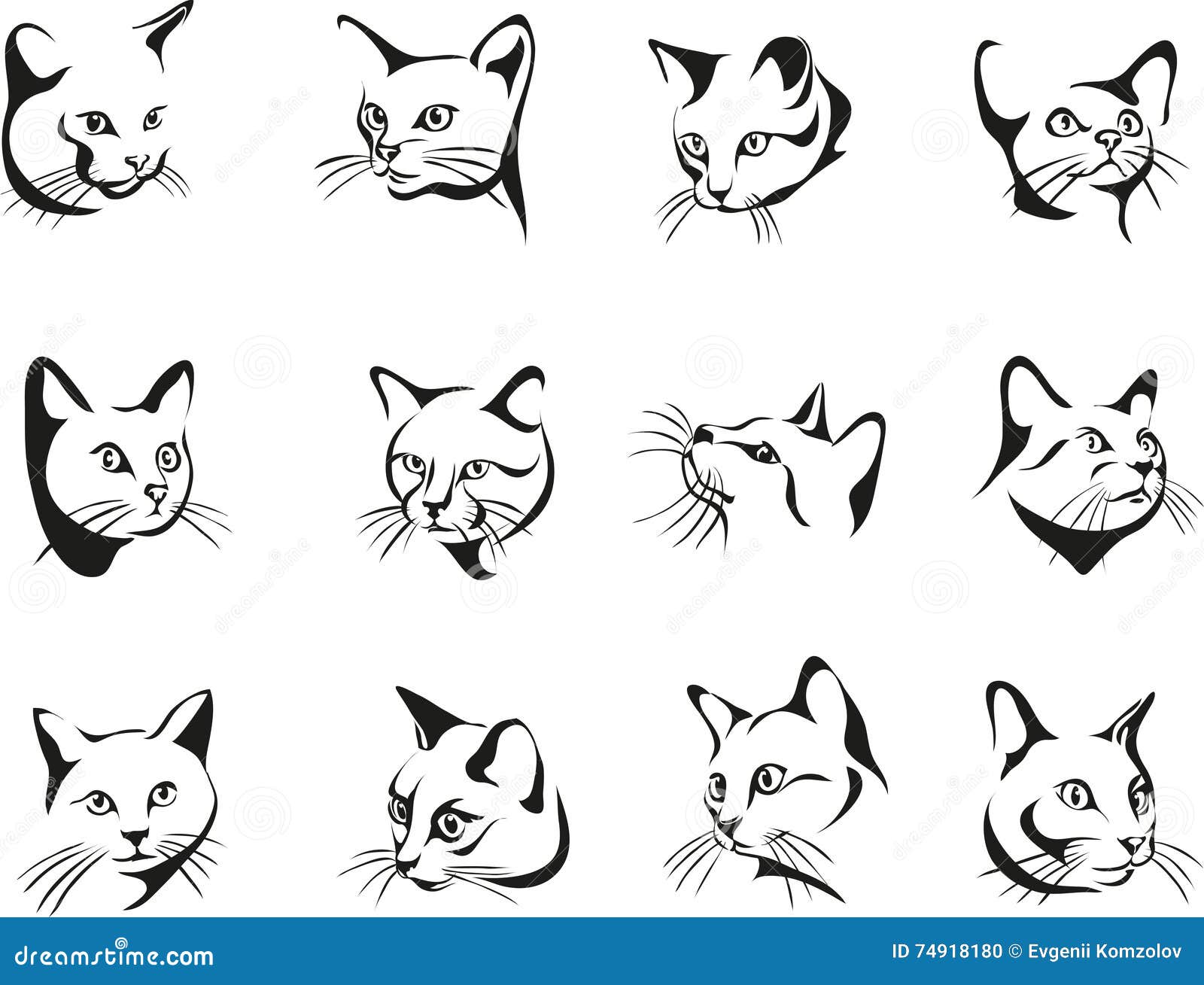 Kat, Portret, Grafisch Zwart Beeld, Vector Illustratie - Illustration ...