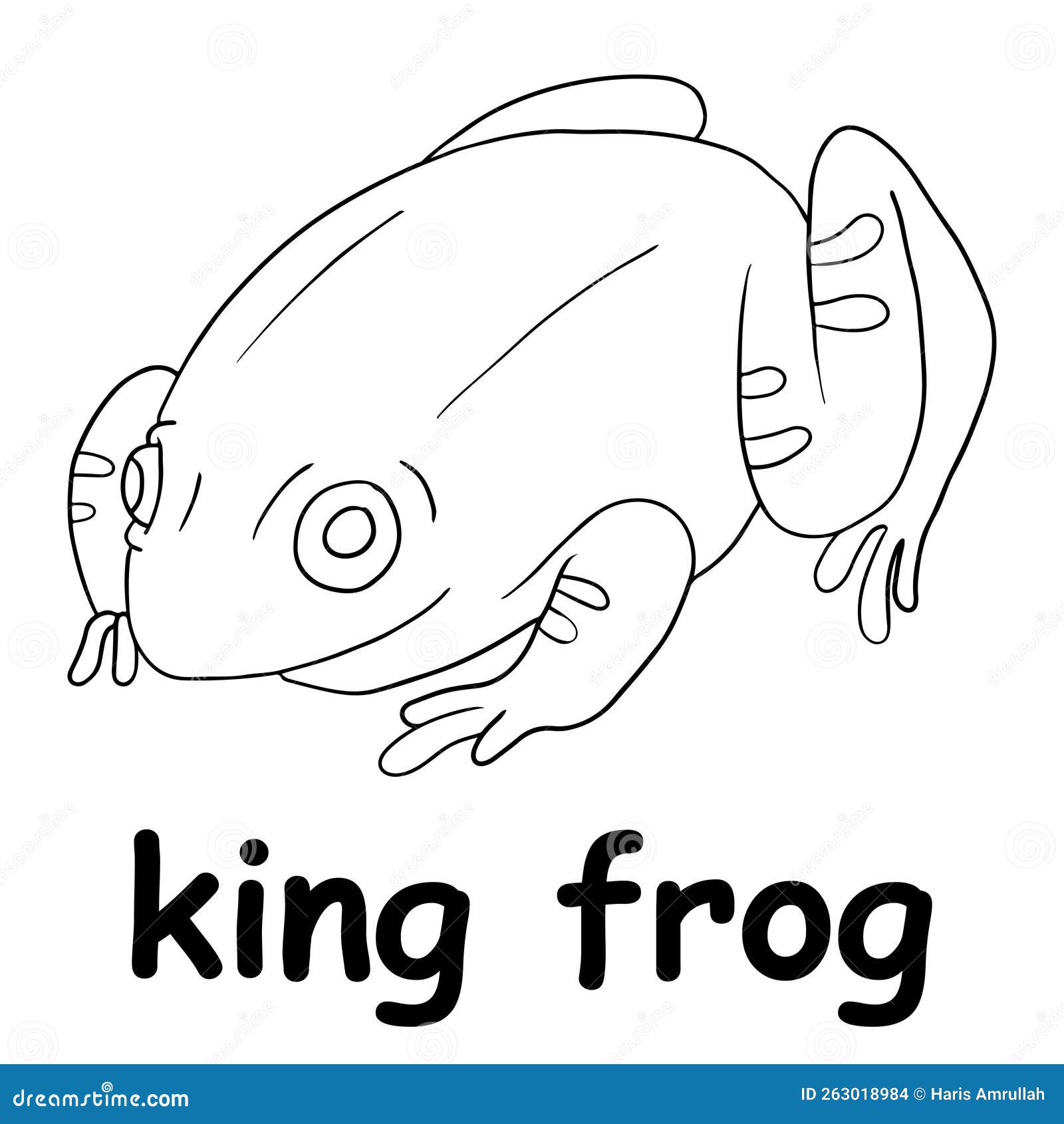 Kids Line Illustration Coloring King Frog. Animal Outline Stock Vector ...