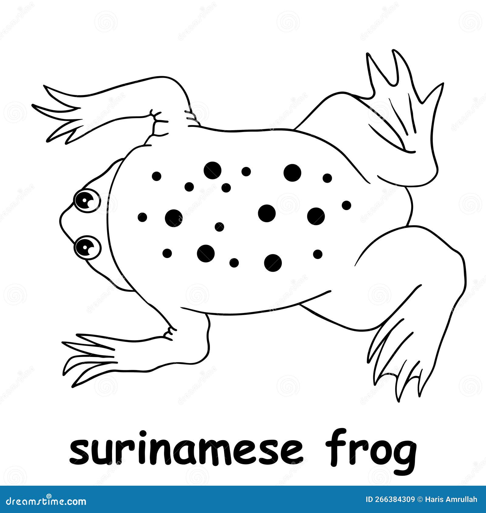 Kids Line Illustration Coloring Animal. Outline Vector for Children ...