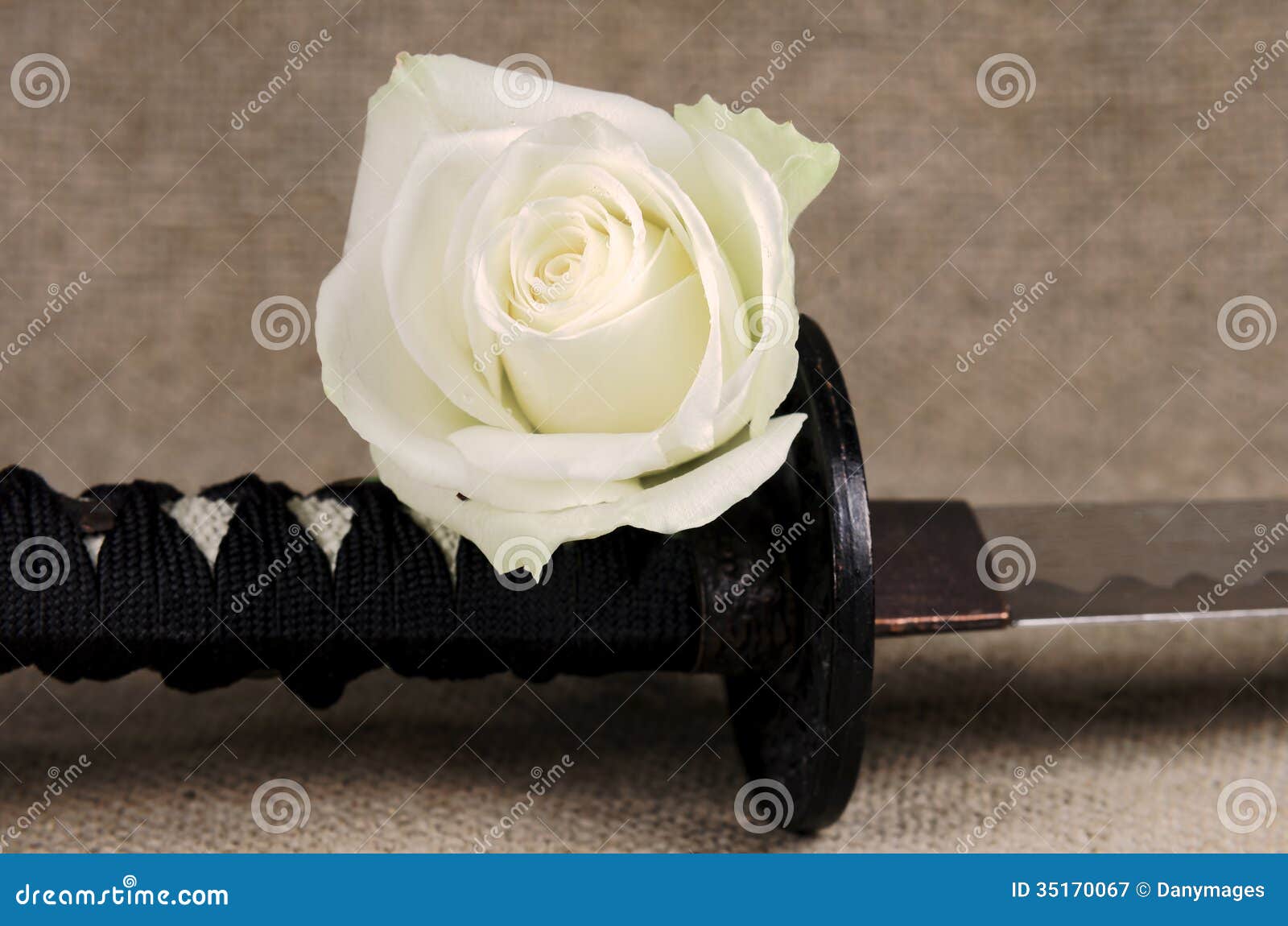 Katana stock image. Image of asian, white, rose, sword - 35170067