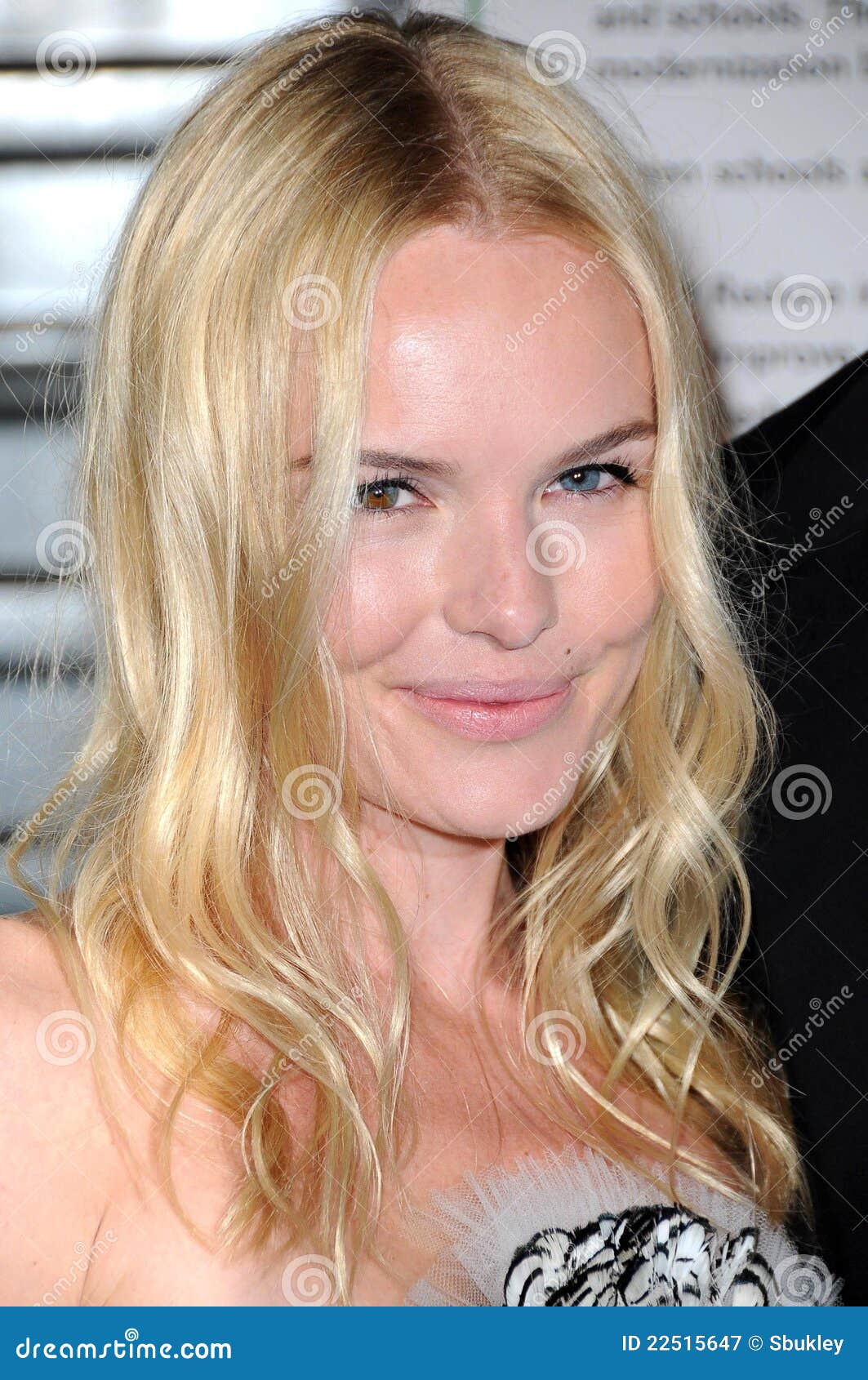 Kate Bosworth editorial photography. Image of global - 22515647