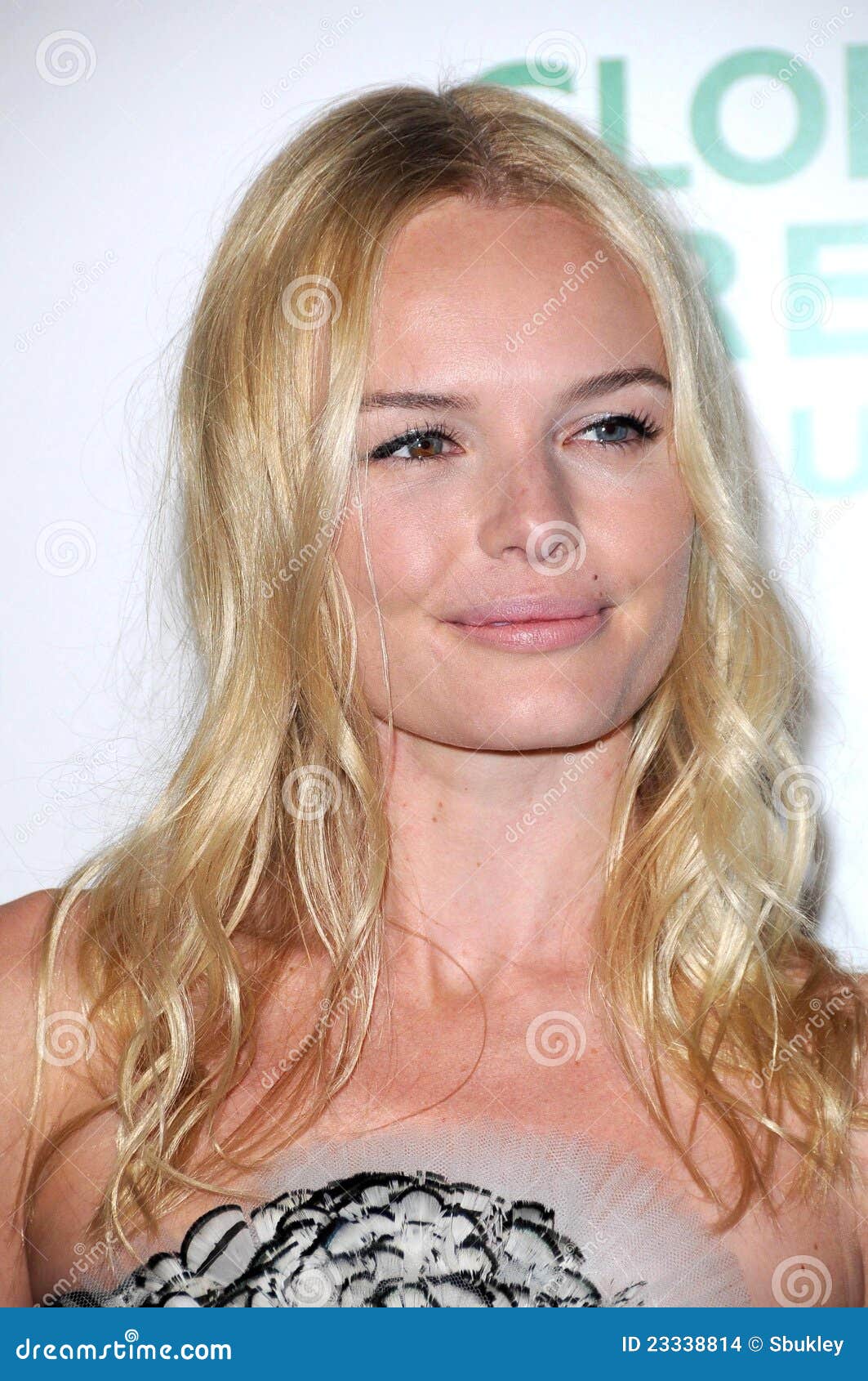 Kate Bosworth editorial stock image. Image of kate, global - 23338814