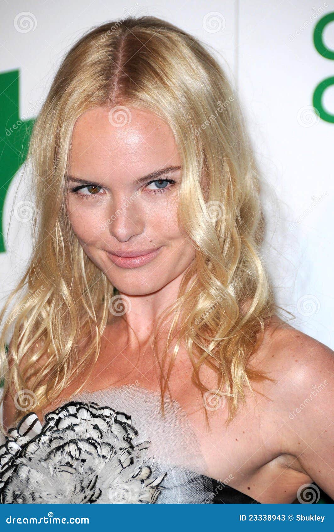 Kate Bosworth editorial stock photo. Image of oscar, green - 23338943