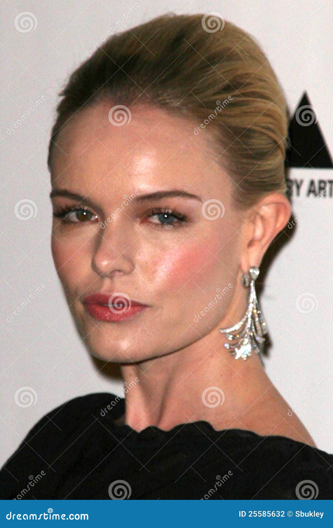 Kate Bosworth editorial photography. Image of gala, angeles - 25585632