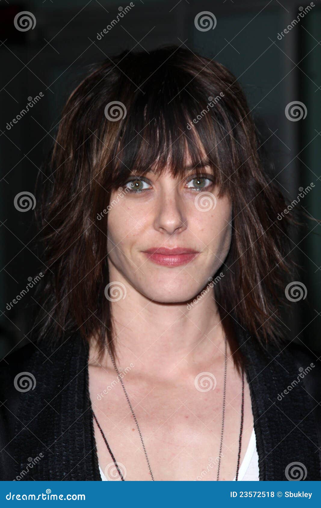 Katherine Moennig editorial stock photo. Image of hollywood - 23572518