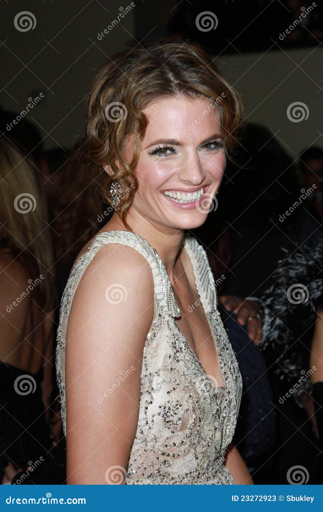 Katic stana 编辑类库存照片. 图片 包括有 主任, 奖项, 年度, 好莱坞, 协会, 高地, 亚马逊 - 23272923