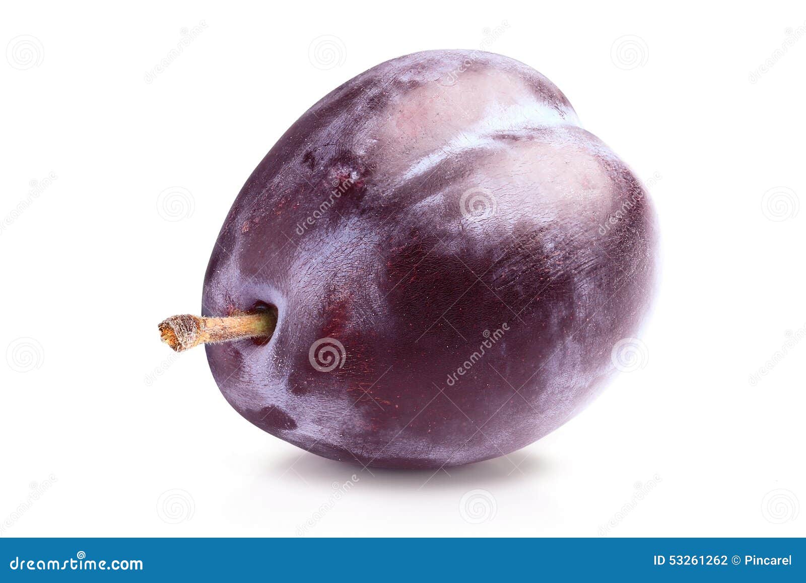 Katrinplommon Eller Plommon Arkivfoto - Bild av inget, isolerat: 53261262