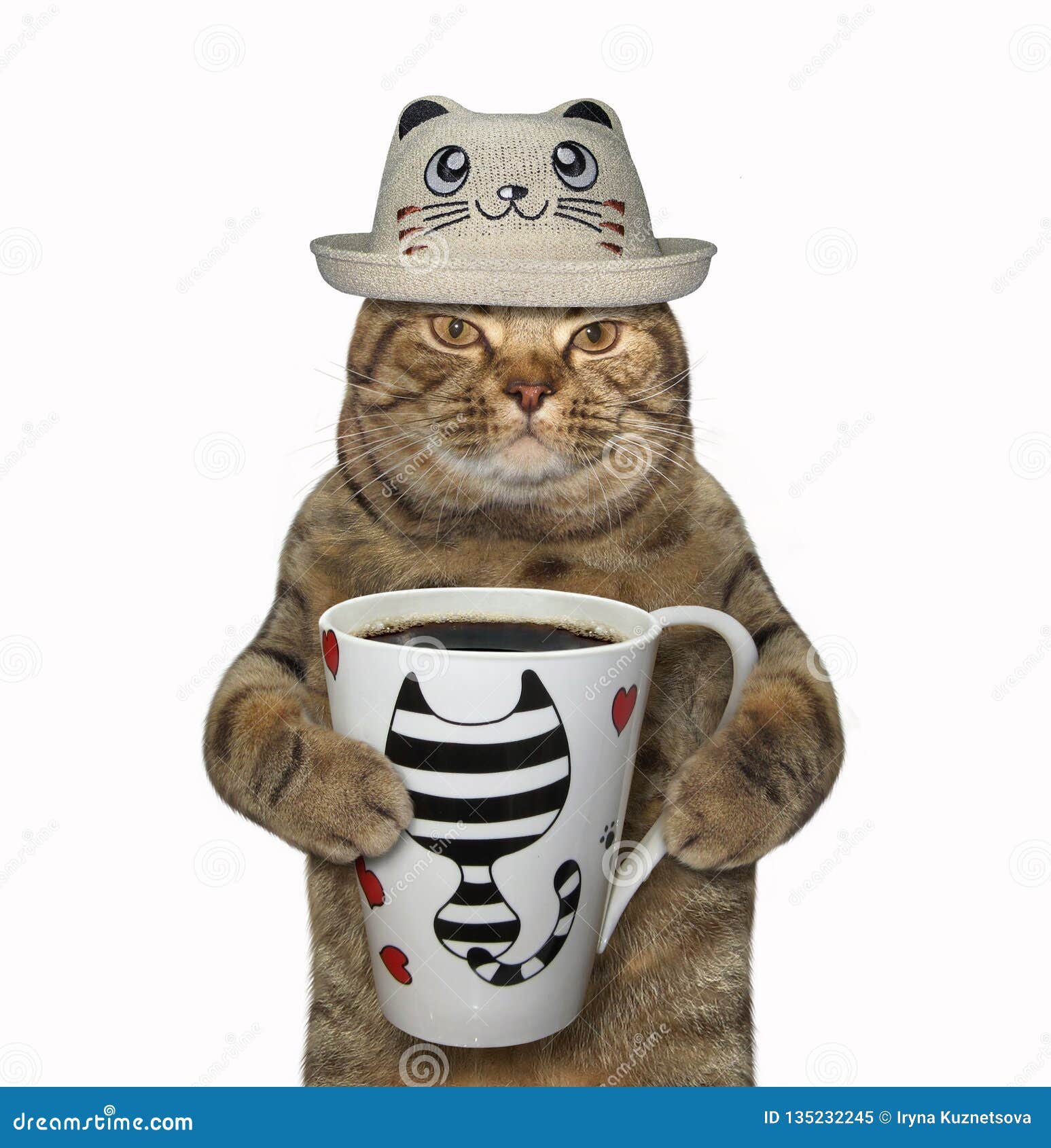 Katt I En Rolig Hatt Med Kaffe Fotografering för Bildbyråer - Bild av ...