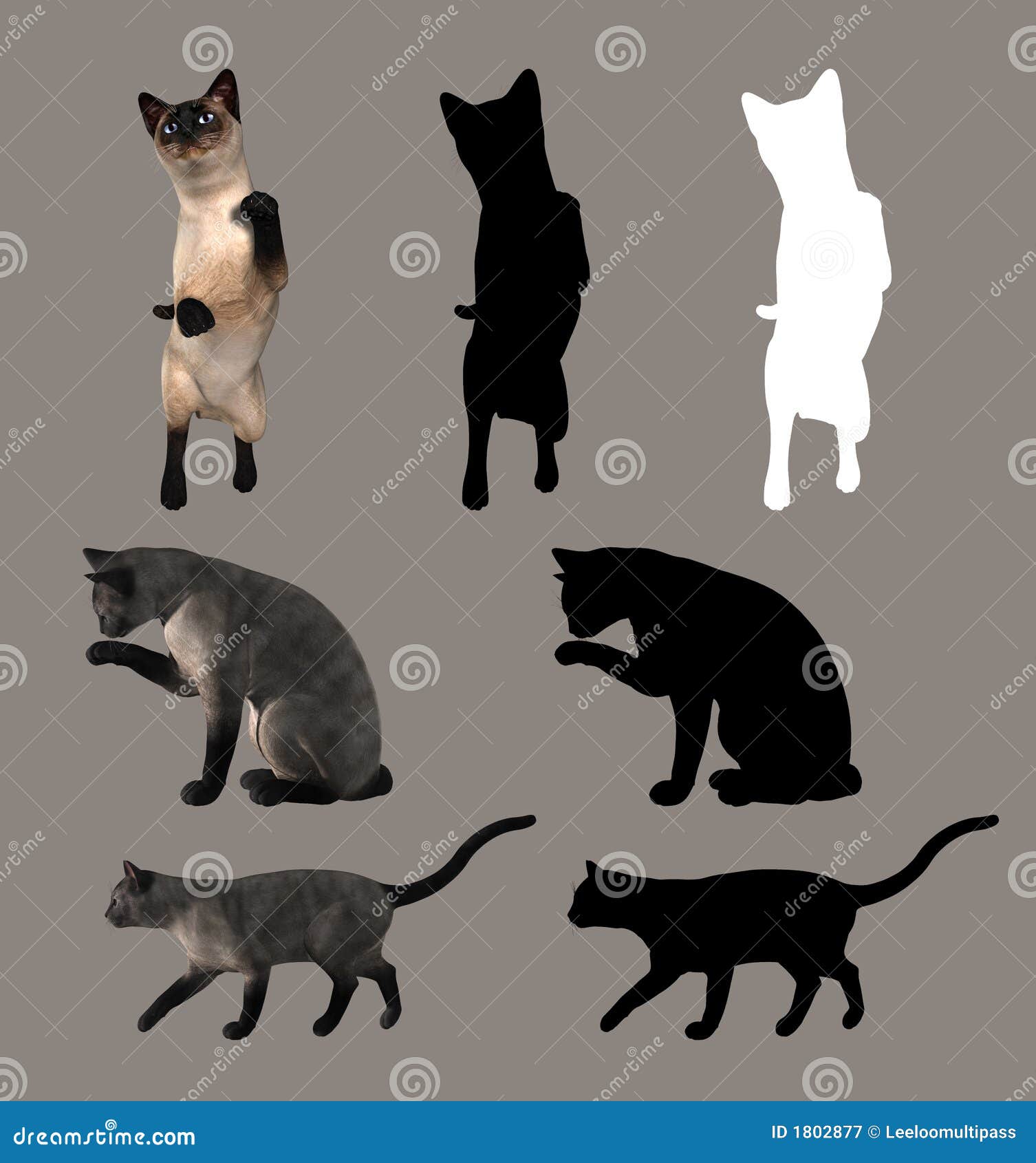 Katten stock illustratie. Illustration of katten, klauw - 1802877