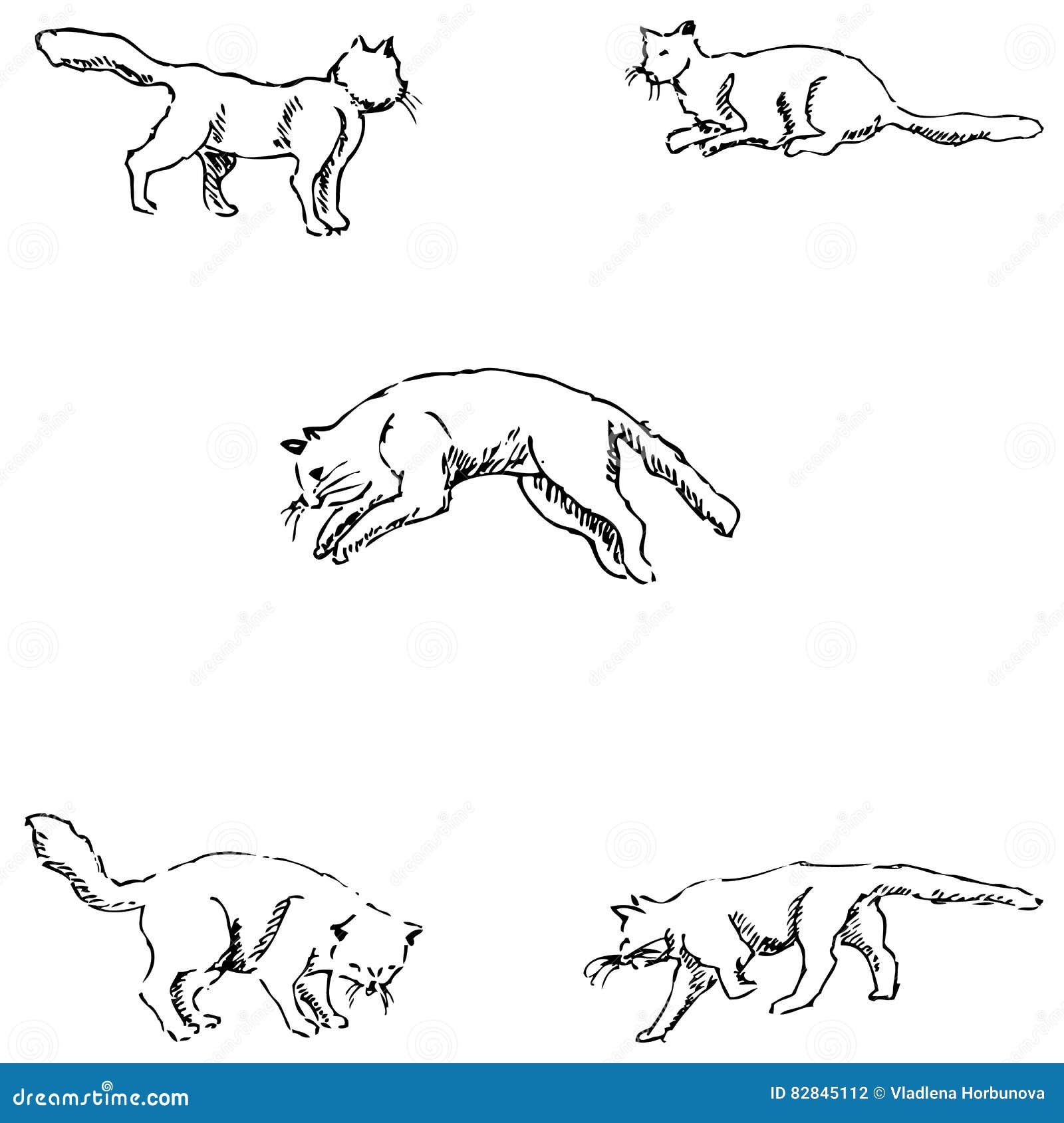 Katten Een Schets Met De Hand De Tekening Van Het Potlood Vector ...
