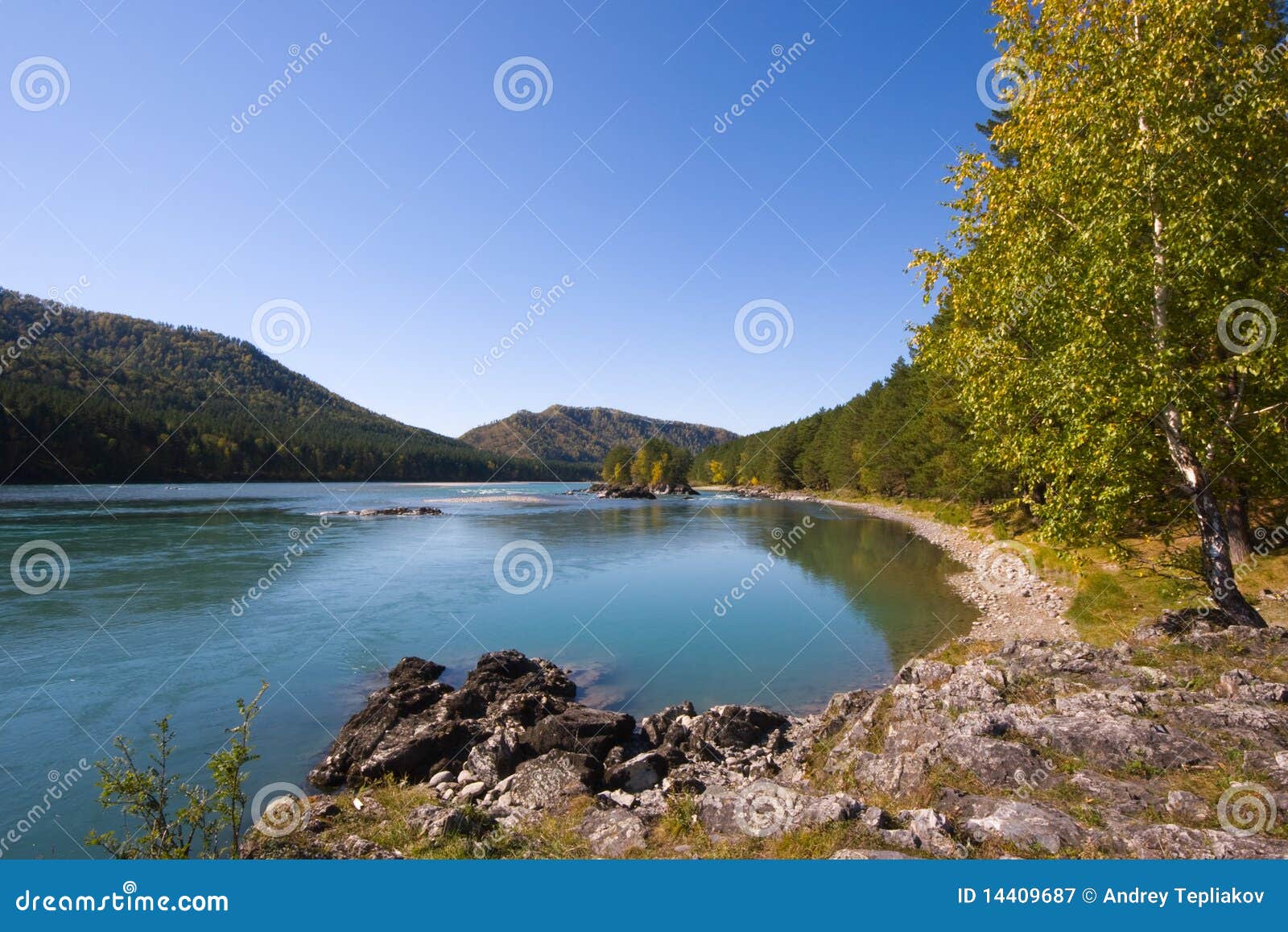 Katun river stock image. Image of stone, scene, blue - 14409687