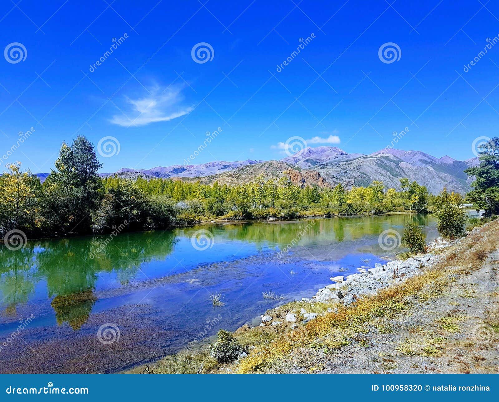 Katun river stock photo. Image of hills, scenery, beautiful - 100958320