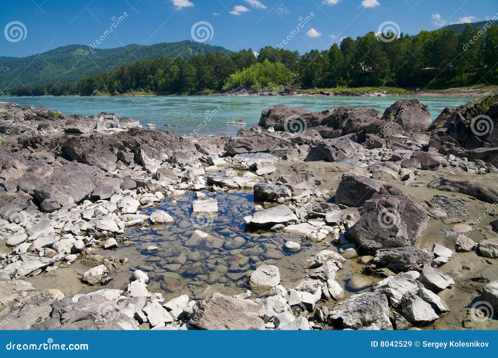 Katun river and mountains stock image. Image of calm, forest - 8042529