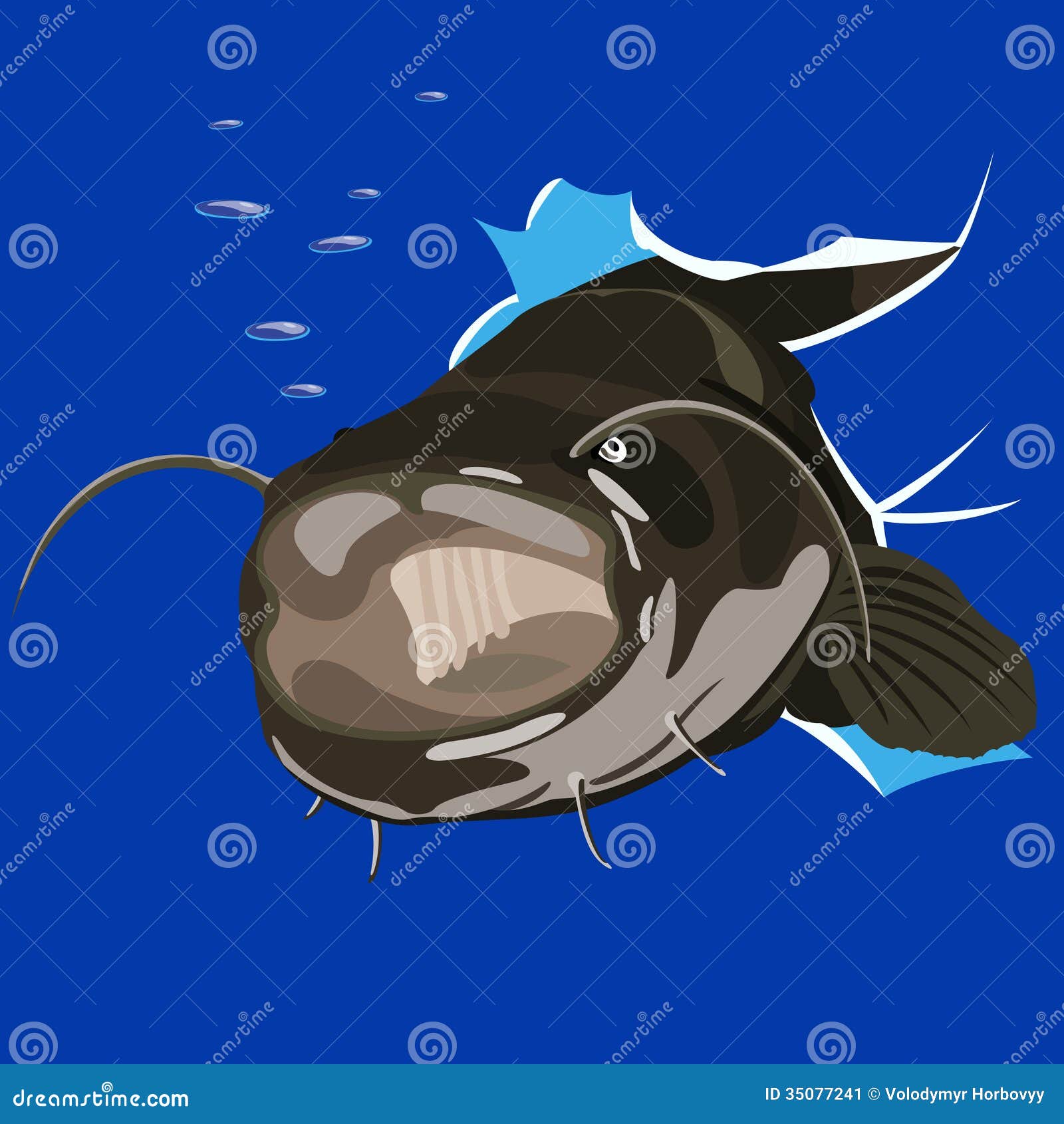 Katvis vector illustratie. Illustration of oceaan, geïsoleerd - 35077241