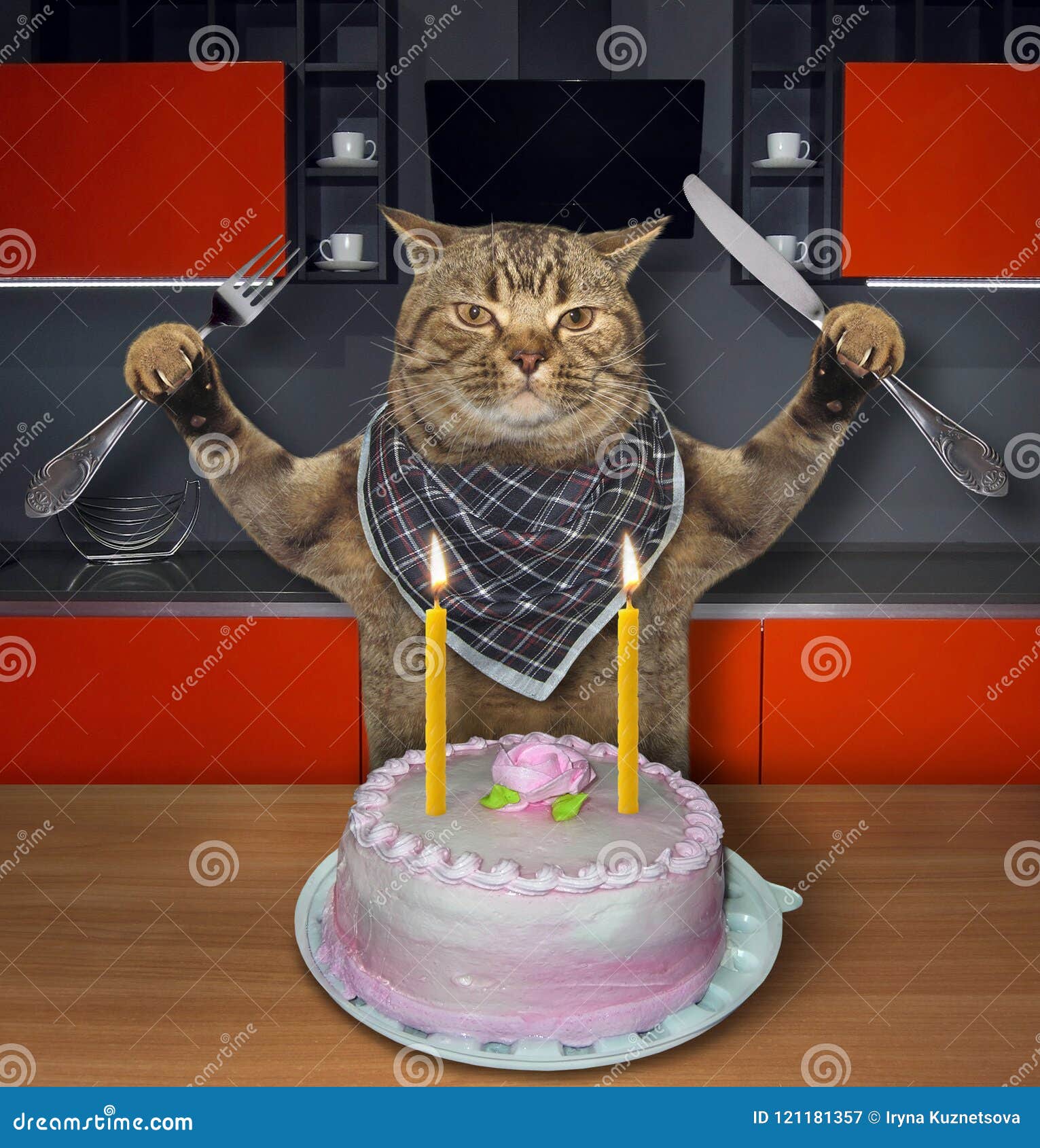 Katze Isst Den Geburtstagskuchen 2 Stockbild - Bild von gabel ...