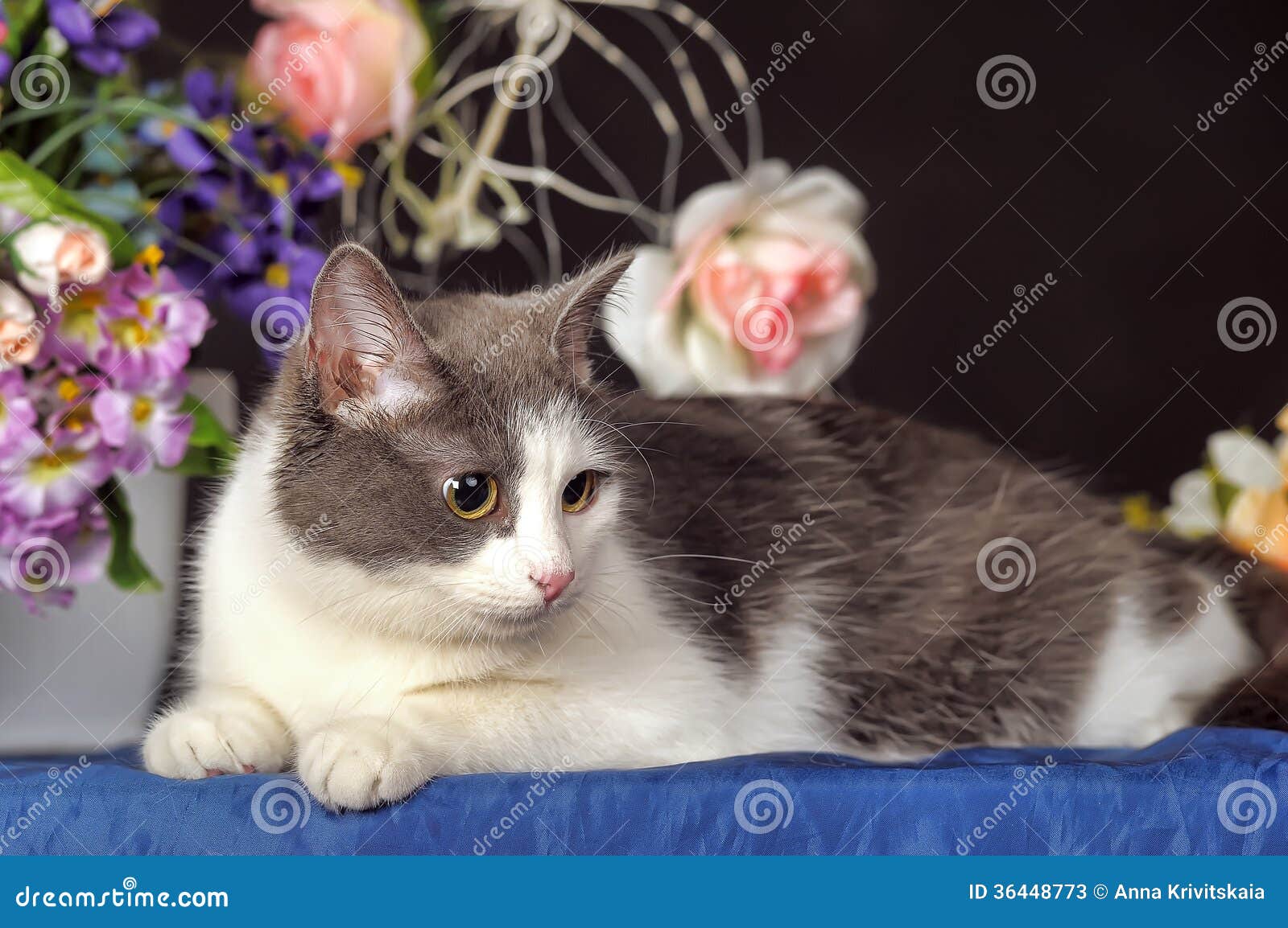 Katze mit Blumen stockbild. Bild von betriebe, kätzchen - 36448773