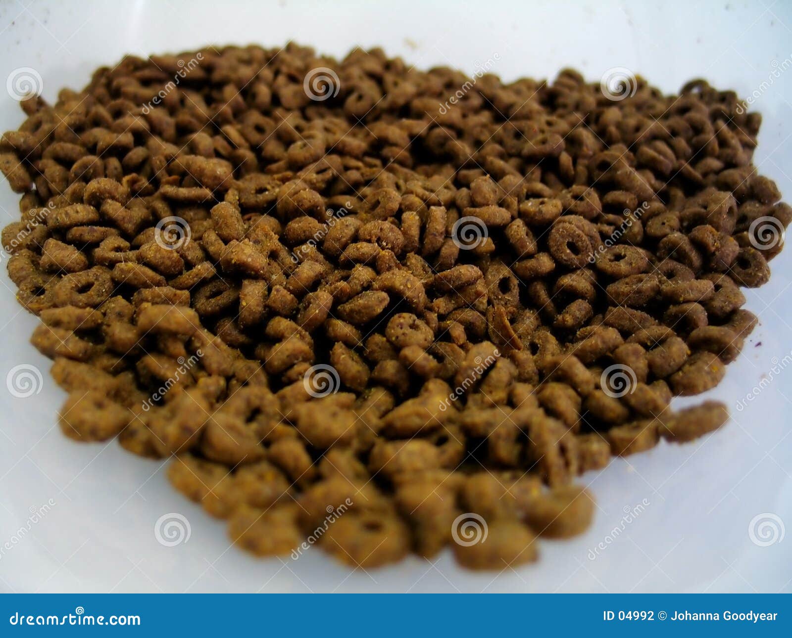 Katze-Nahrung stockfoto. Bild von katzen, abendessen, nahrung - 4992