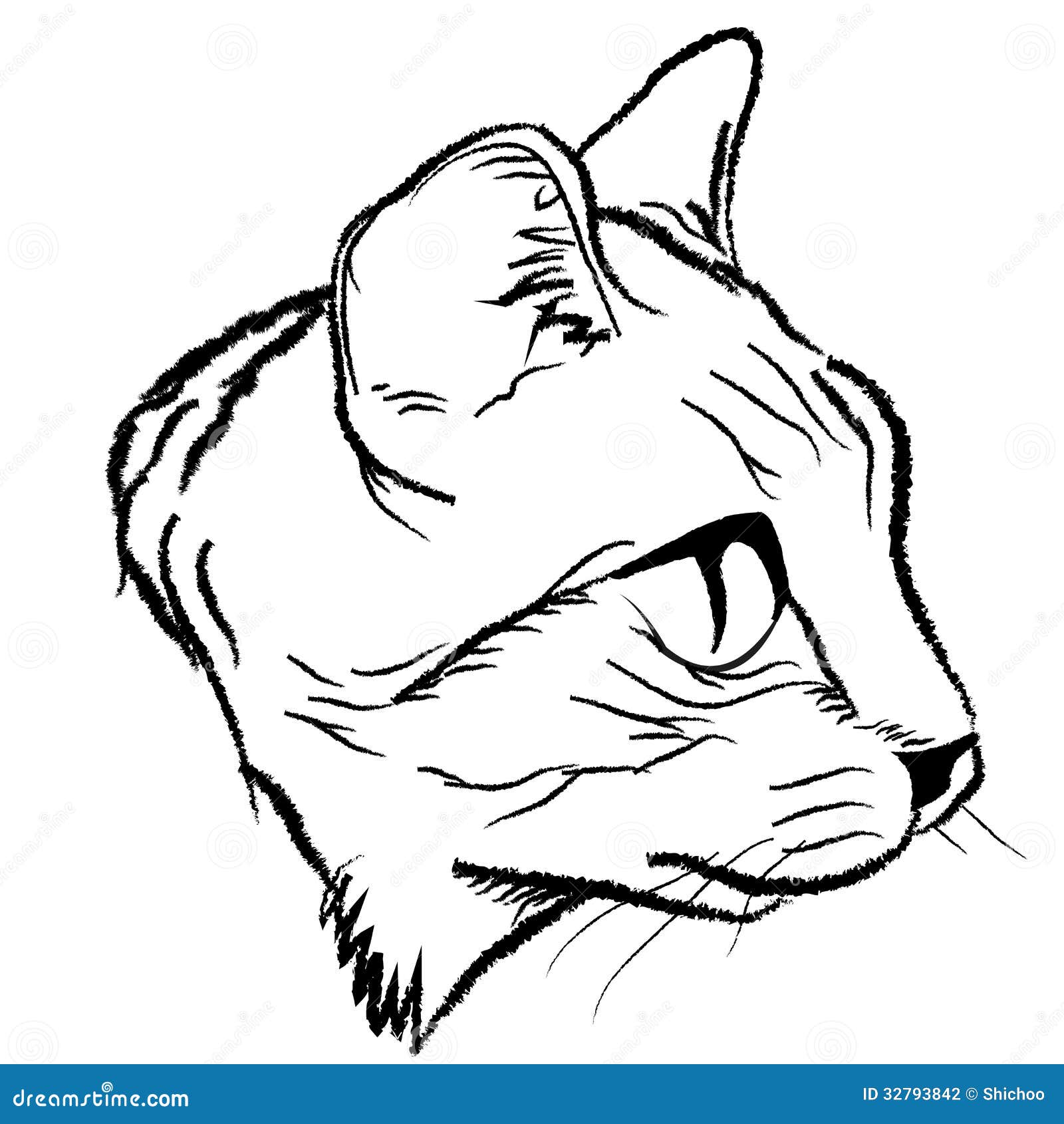 Katzengesicht vektor abbildung. Illustration von dekor - 32793842