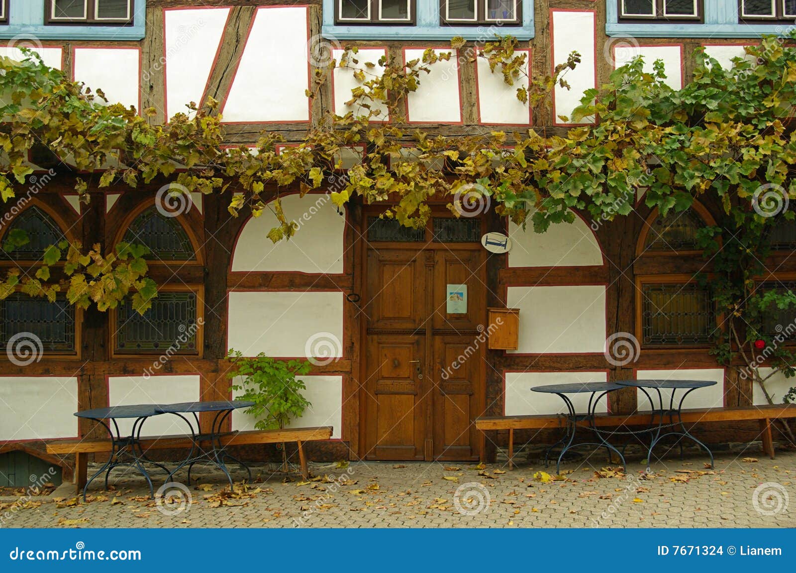 Kaub hostel stock photo. Image of green, spare, branch - 7671324