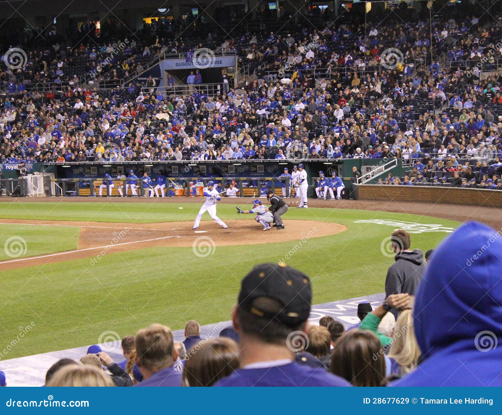 Kauffman Field Royals Batter No. 35 Editorial Stock Image - Image of ...