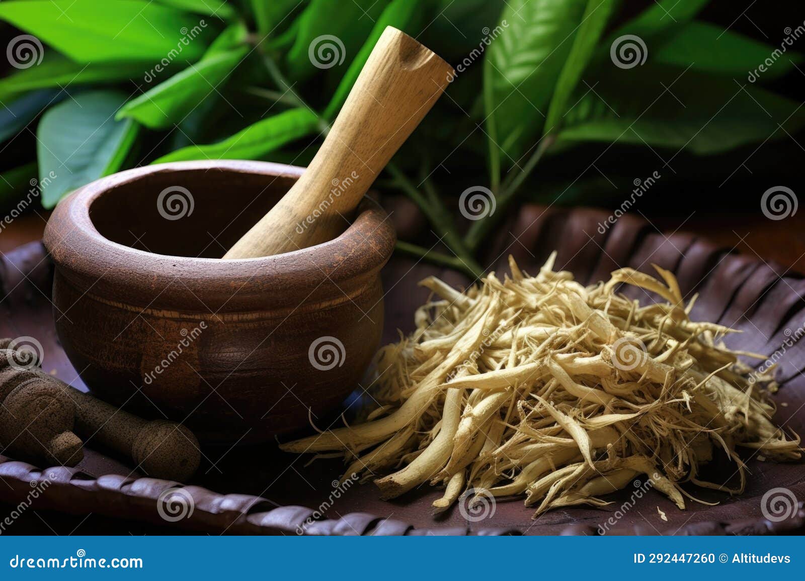 Kava Root in a Mortar and Pestle Stock Photo - Image of root, mortar ...