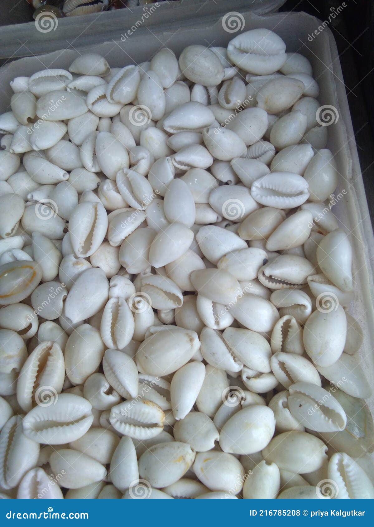 Kawadi a ancient rupee stock photo. Image of produce - 216785208