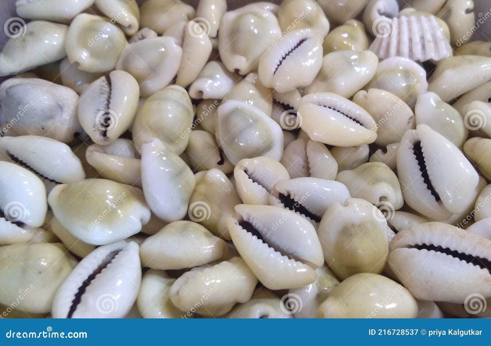 Kawadi a Ancient Rupee for Transaction Stock Image - Image of breakfast ...