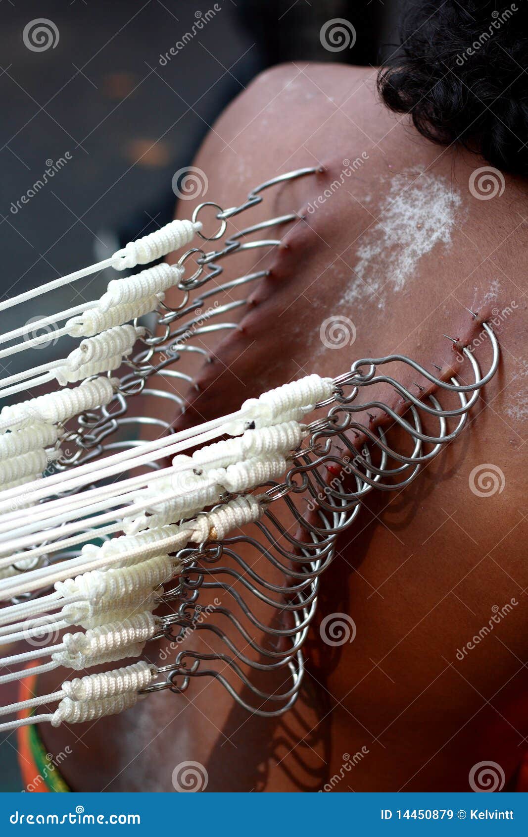 Kawadi at Thaipusam Celebration Stock Image - Image of indian, back ...