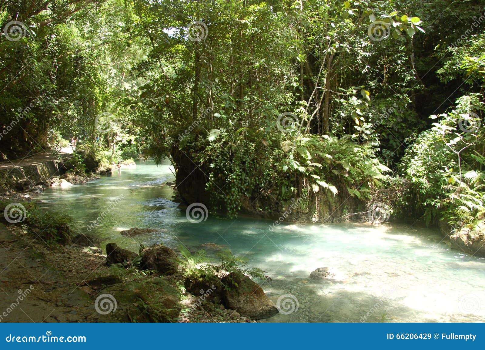 Kawasan River in Cebu, Philippines Stock Image - Image of forest, creek ...