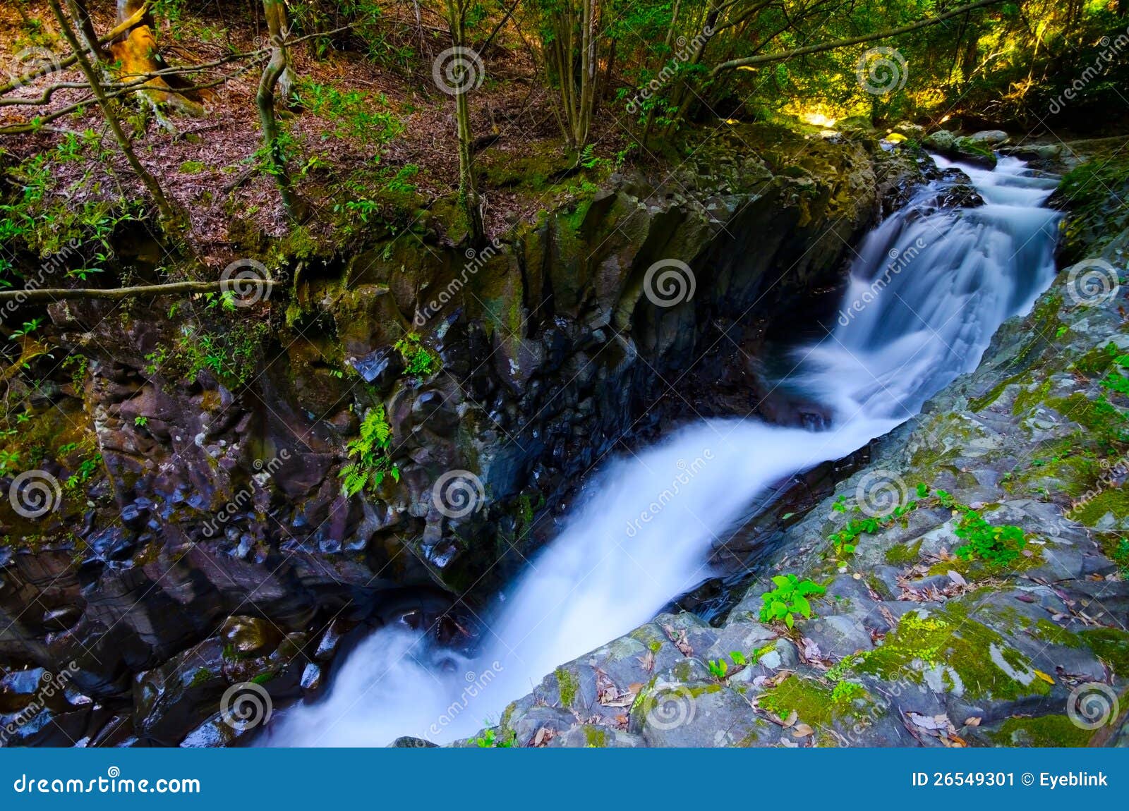 Kawazunanadaru Falls, Japan. Stock Image - Image of stream, stroll ...