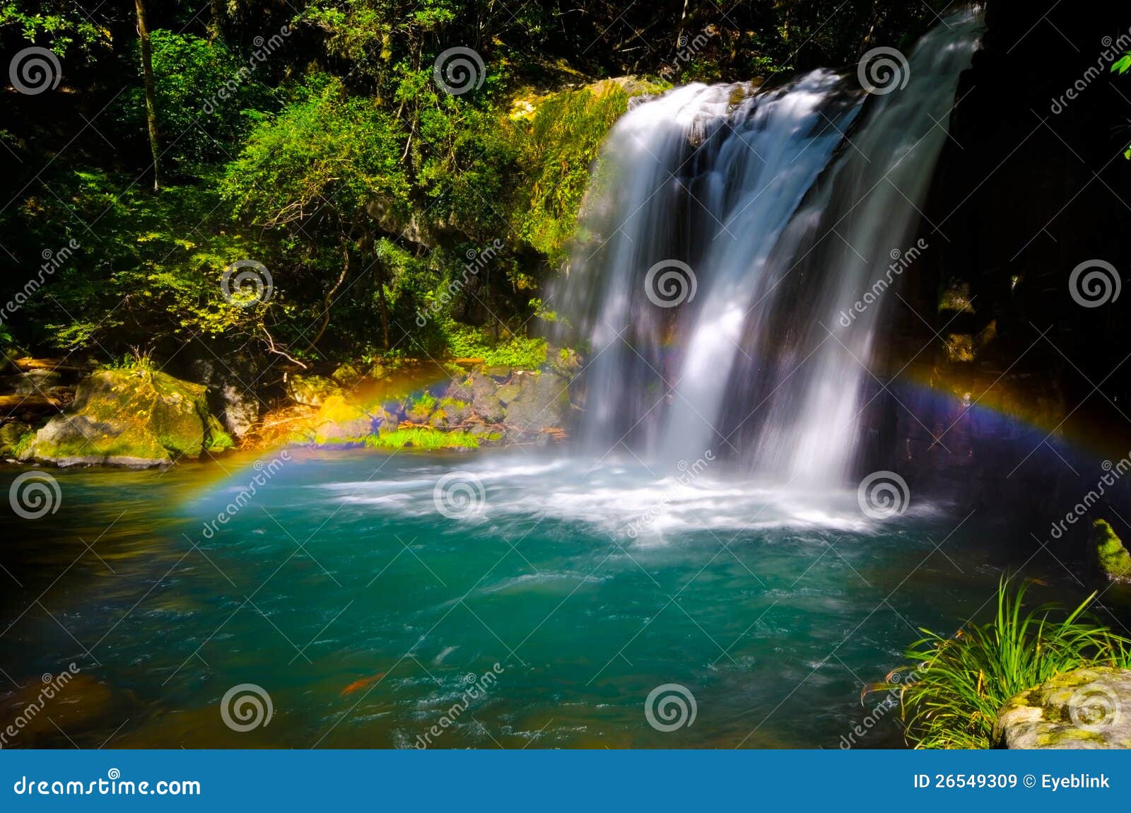 Kawazunanadaru Falls, Japan. Stock Image - Image of walking, stroll ...