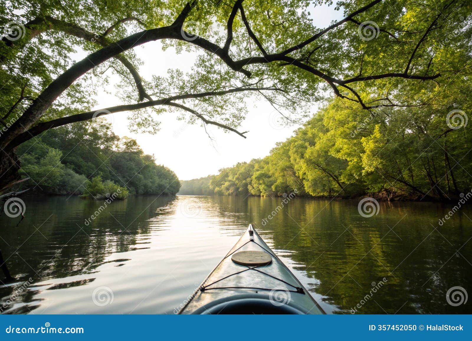 Kayak on a Calm River with Tree-Lined Background Stock Illustration ...