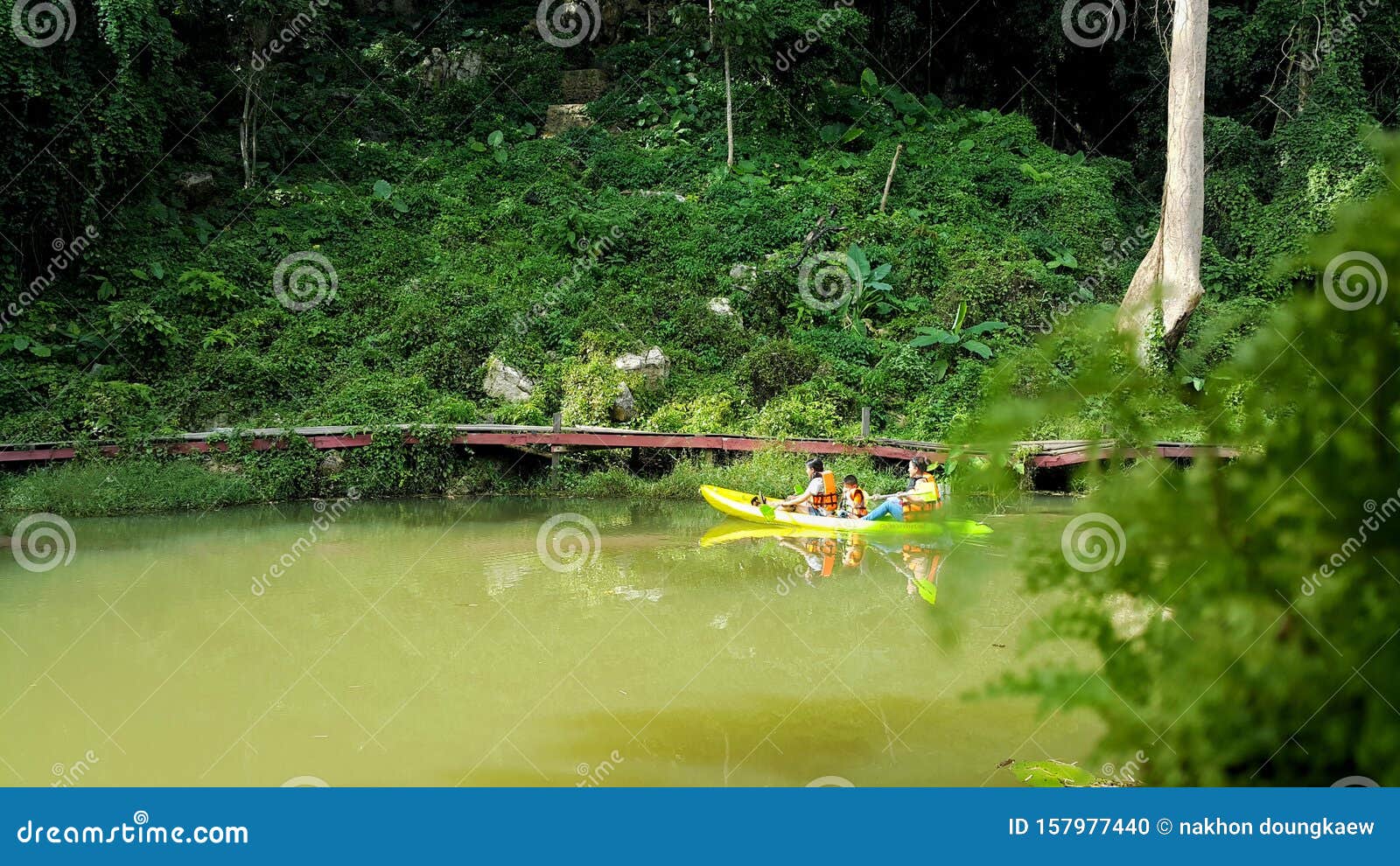 Kayak in the canal editorial image. Image of kayak, tree - 157977440