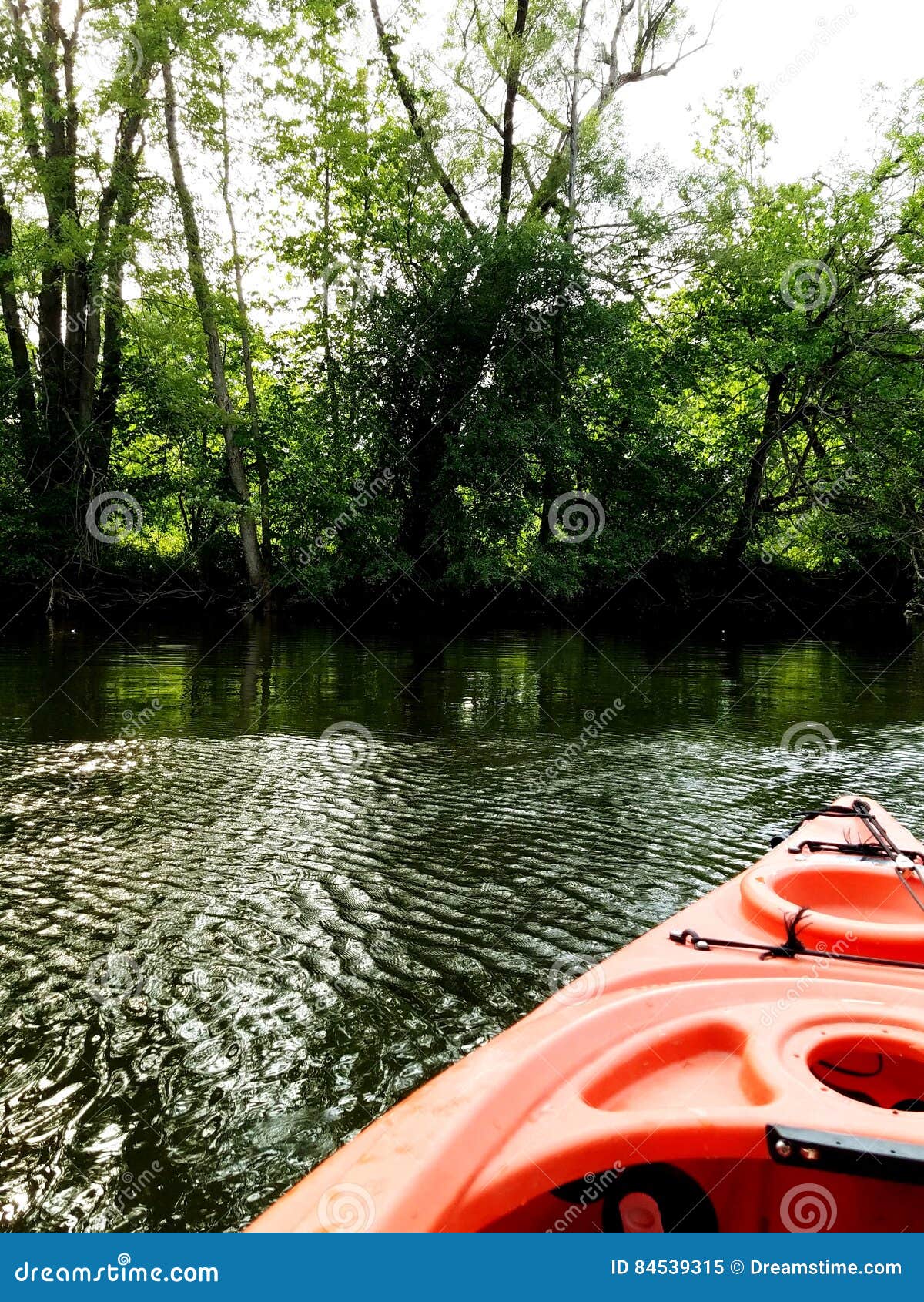 Kayak stock image. Image of trees, summer, kayaking, kayak - 84539315