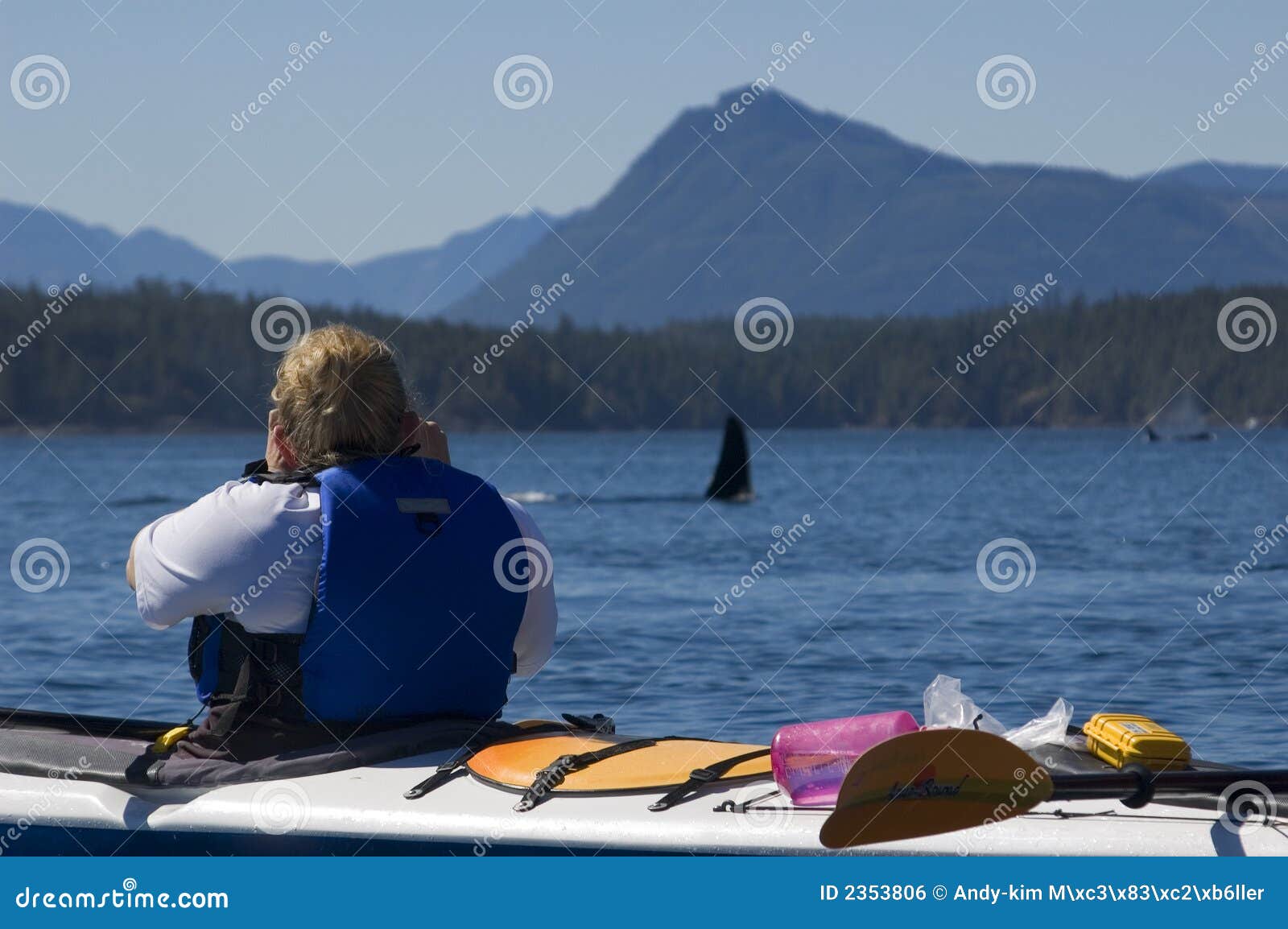 Kayak and orca stock photo. Image of waves, face, vancouver - 2353806