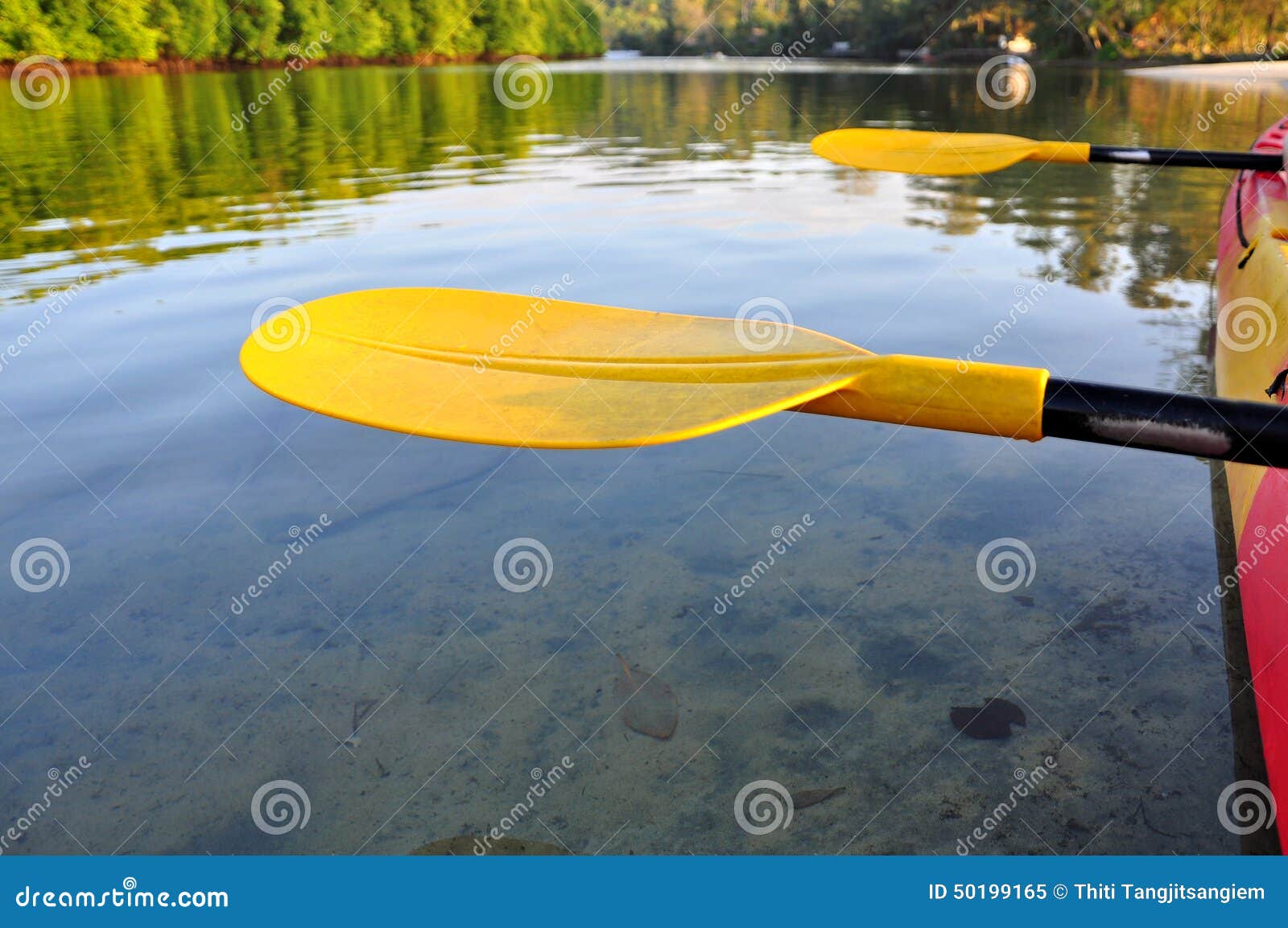Kayak Paddle stock image. Image of blue, kood, ocean - 50199165