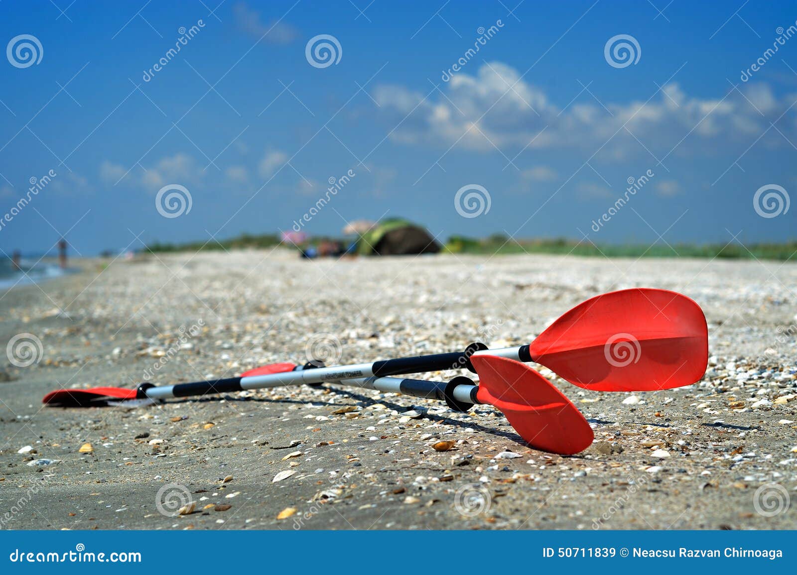 Kayak Paddles stock image. Image of adventure, beach - 50711839
