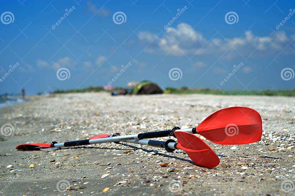 Kayak Paddles stock image. Image of adventure, beach - 50711839