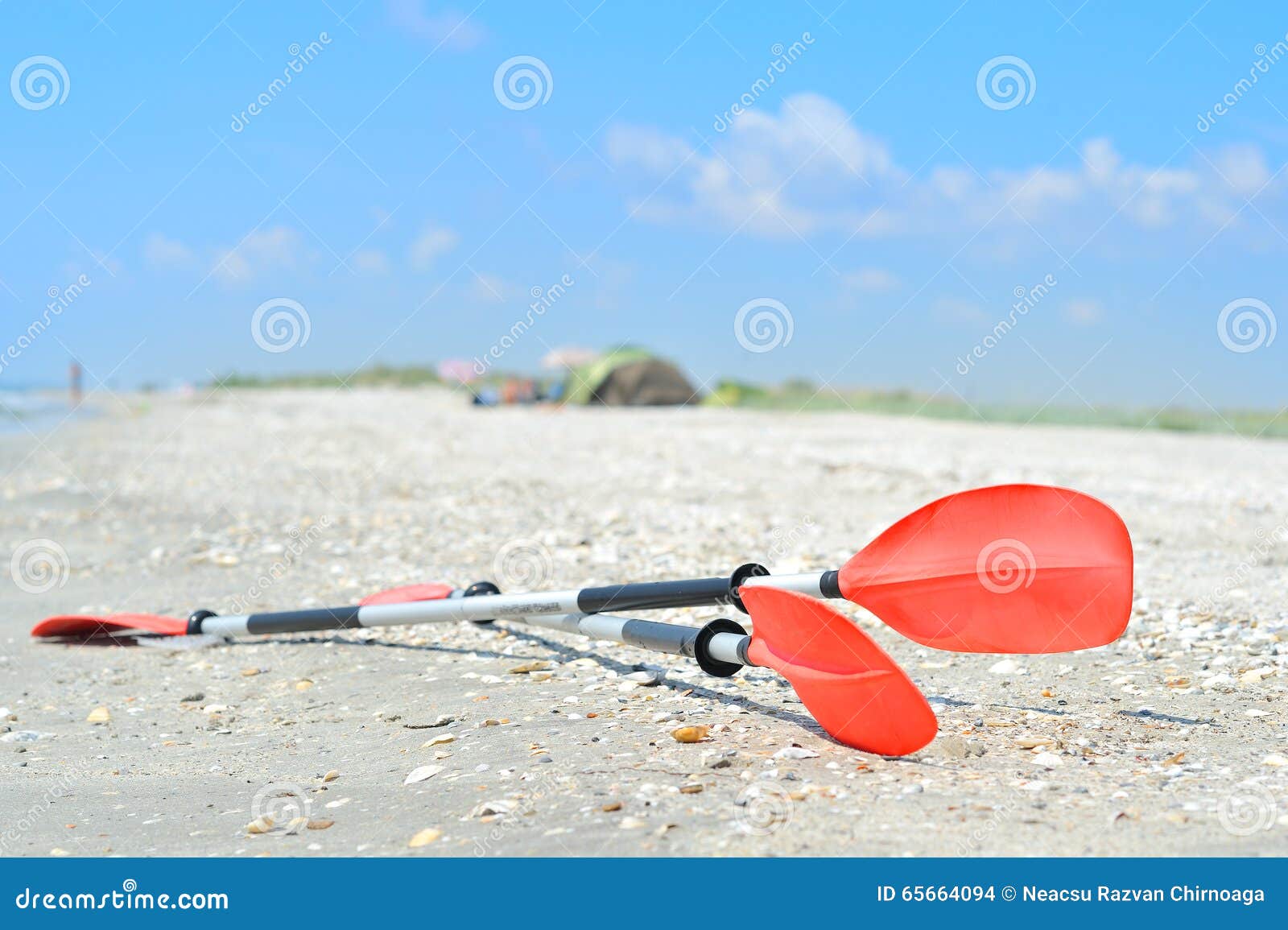 Kayak Paddles stock photo. Image of camp, black, lifestyle - 65664094