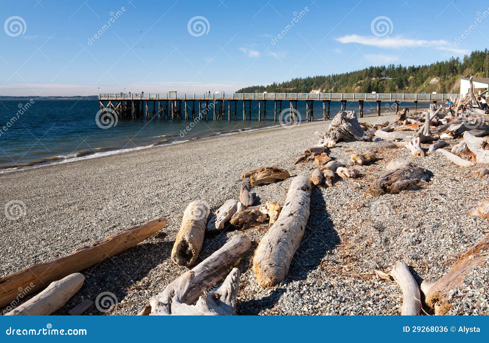 Kayak Point Park Beach stock photo. Image of logs, stanwood - 29268036
